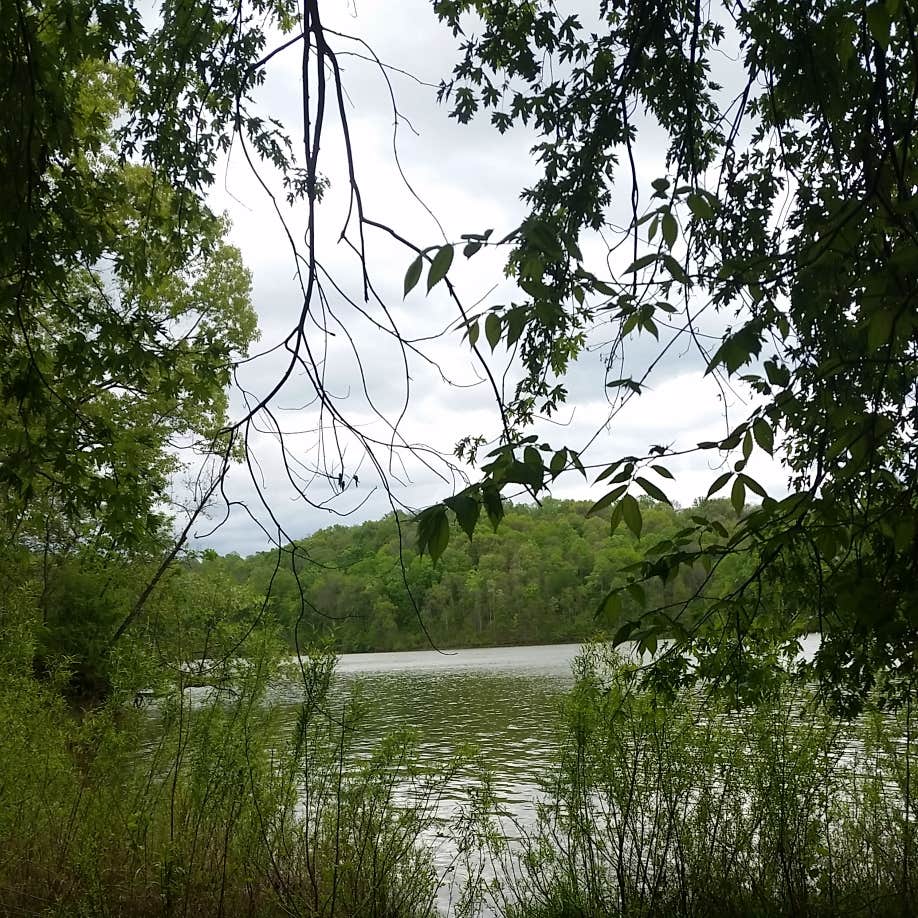 Salt Fork State Park Camping | The Dyrt