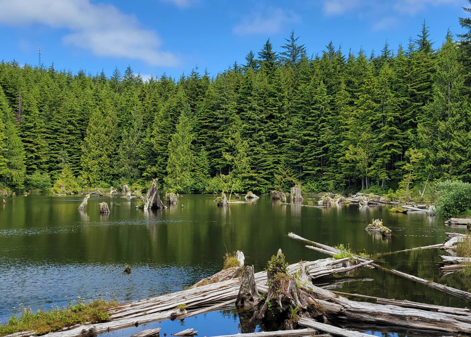 Snag Lake Campground Camping | The Dyrt
