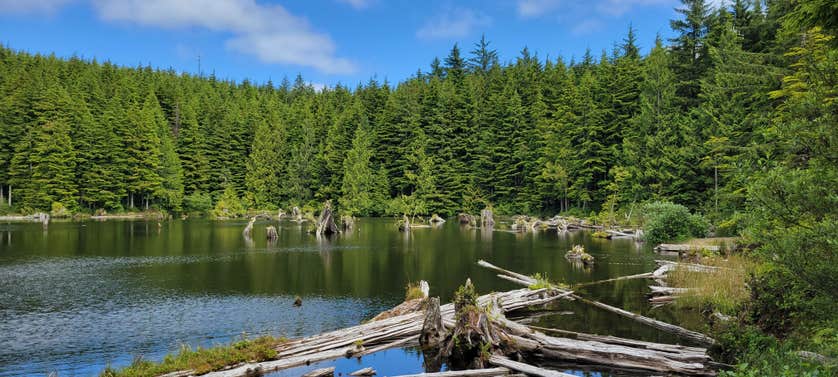 Snag Lake Campground Camping | The Dyrt