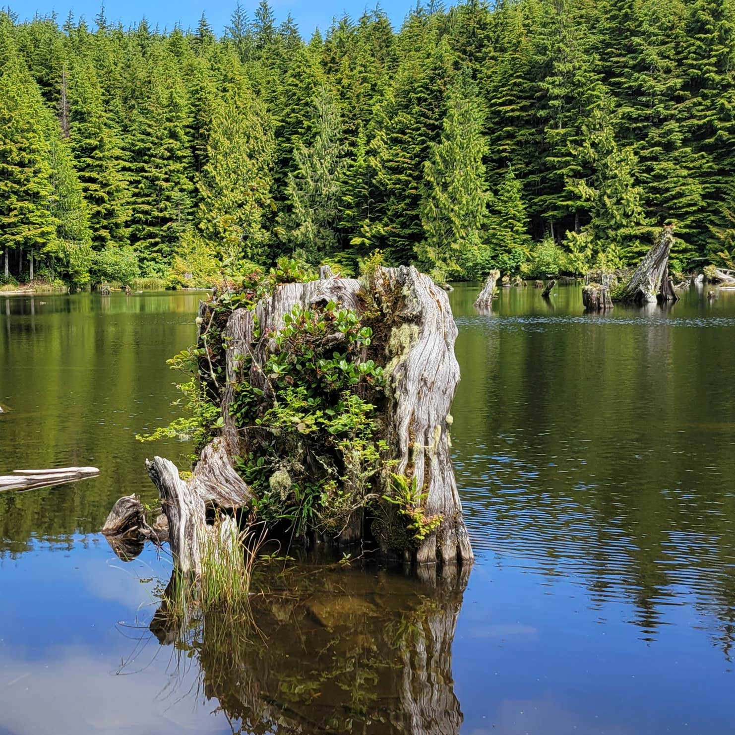 Snag Lake Campground Camping | The Dyrt