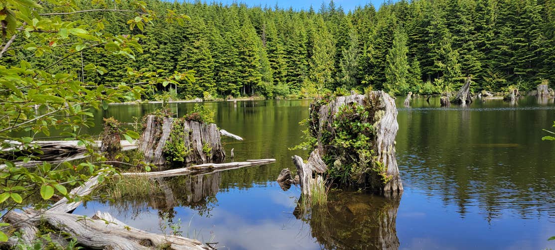 Snag Lake Campground Camping | The Dyrt