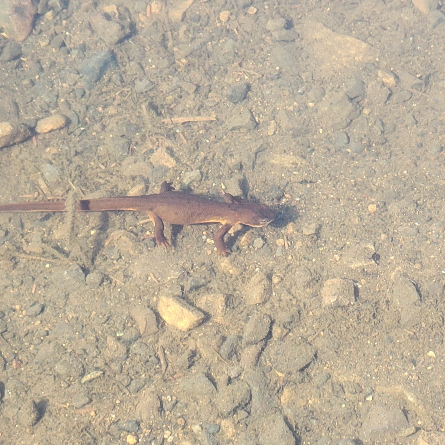 Snag Lake Campground Camping | The Dyrt