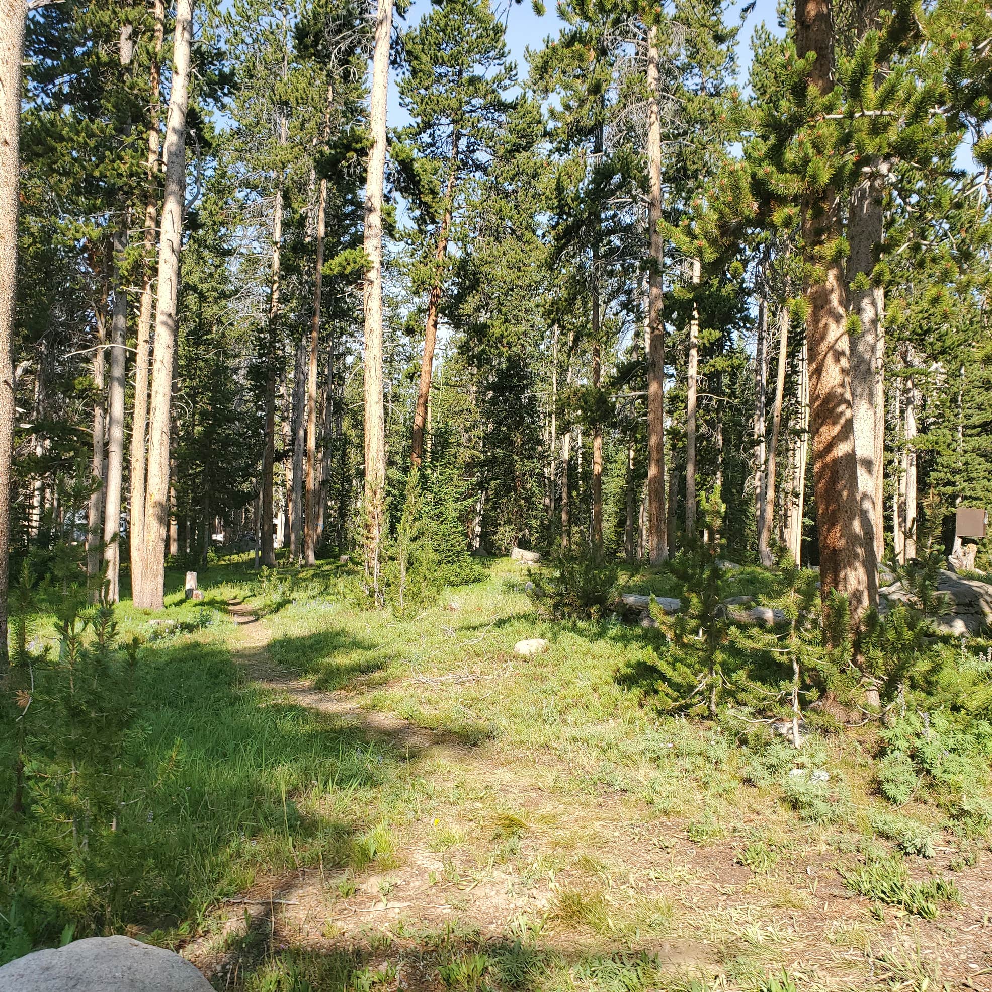 Beartooth Lake Camping | Cody, WY