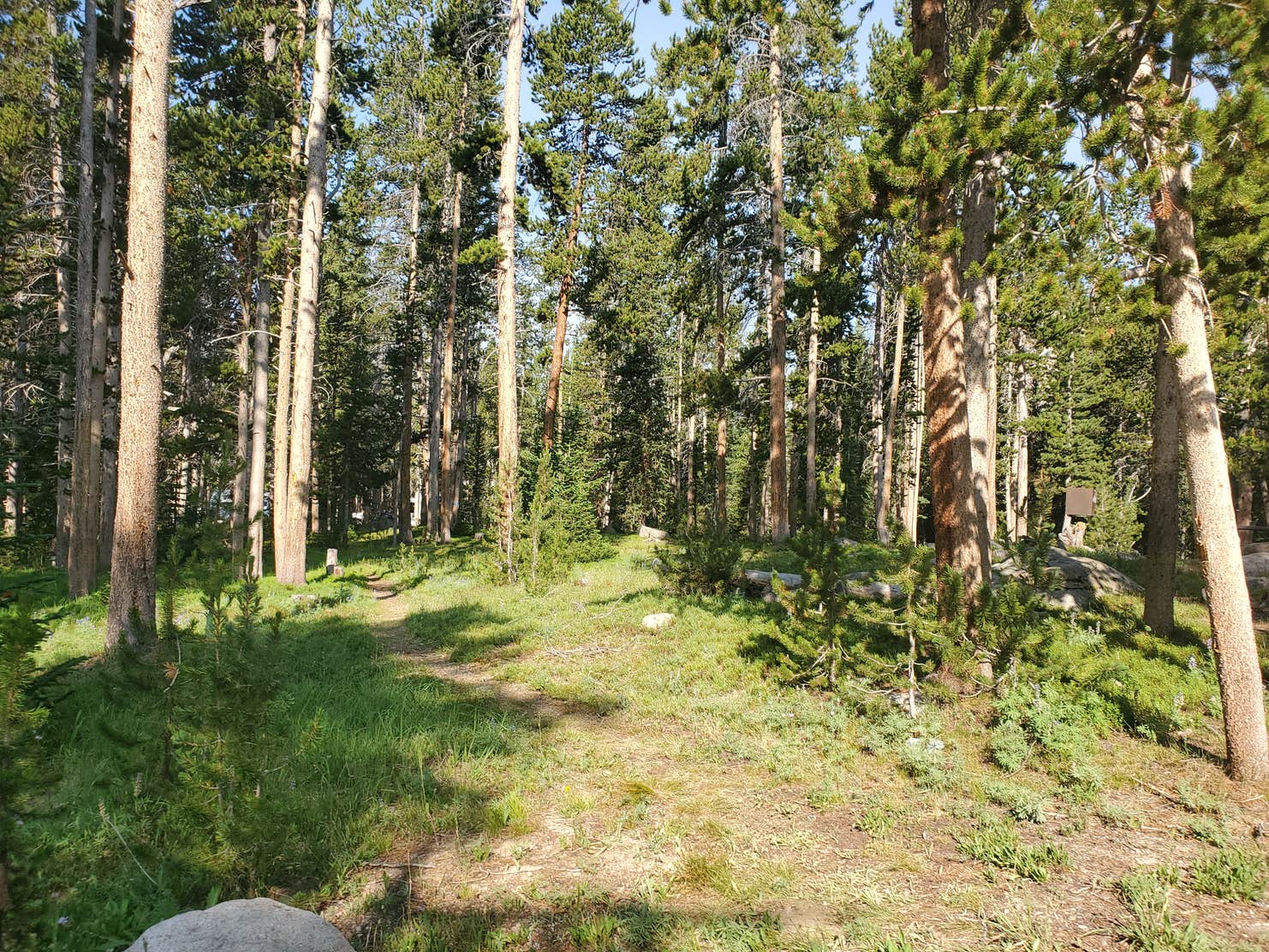 Beartooth Lake | The Dyrt
