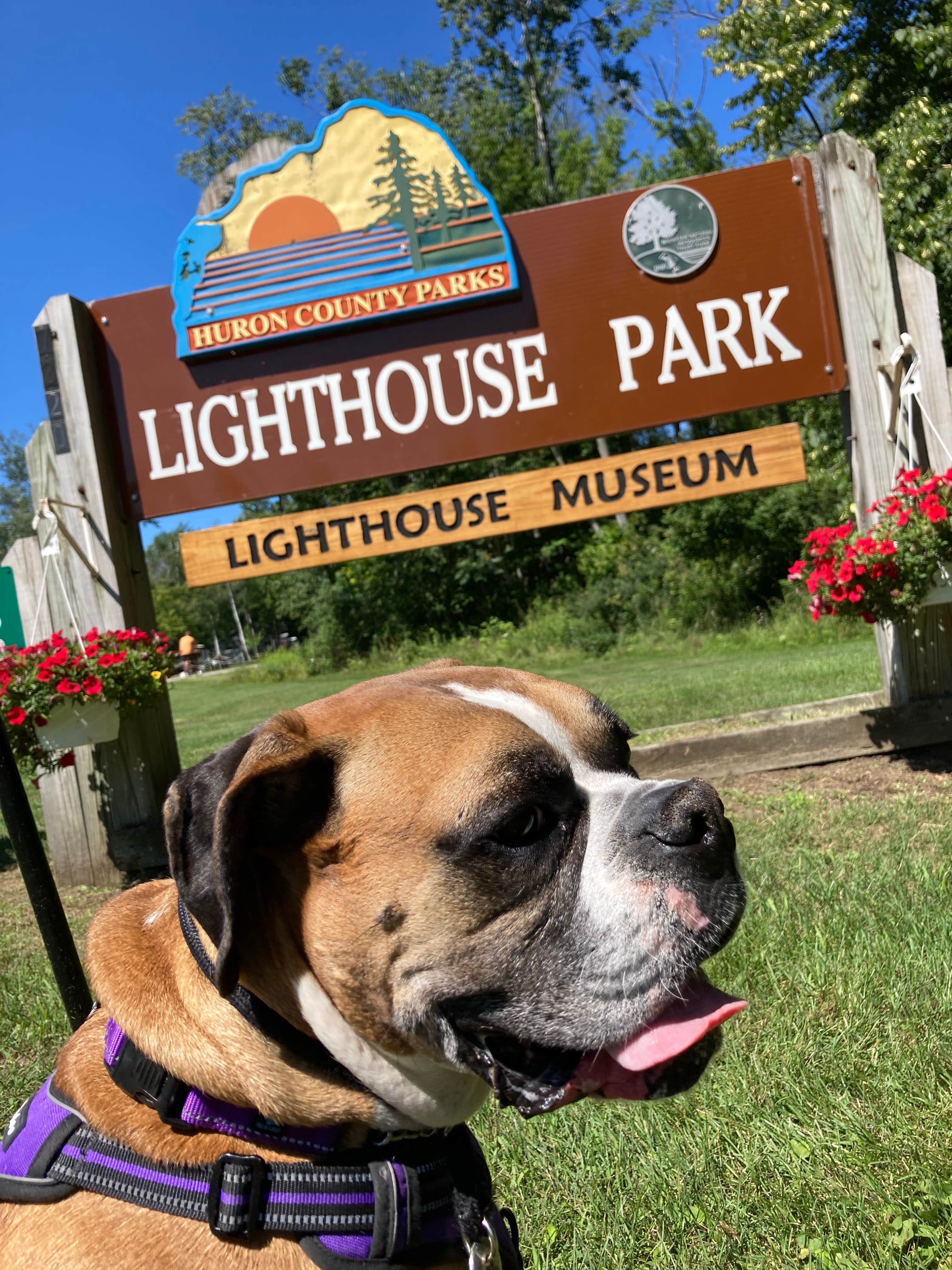 Lighthouse Village RV Resort | Litchfield, Michigan