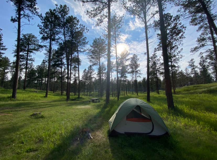 Comanche Park | The Dyrt