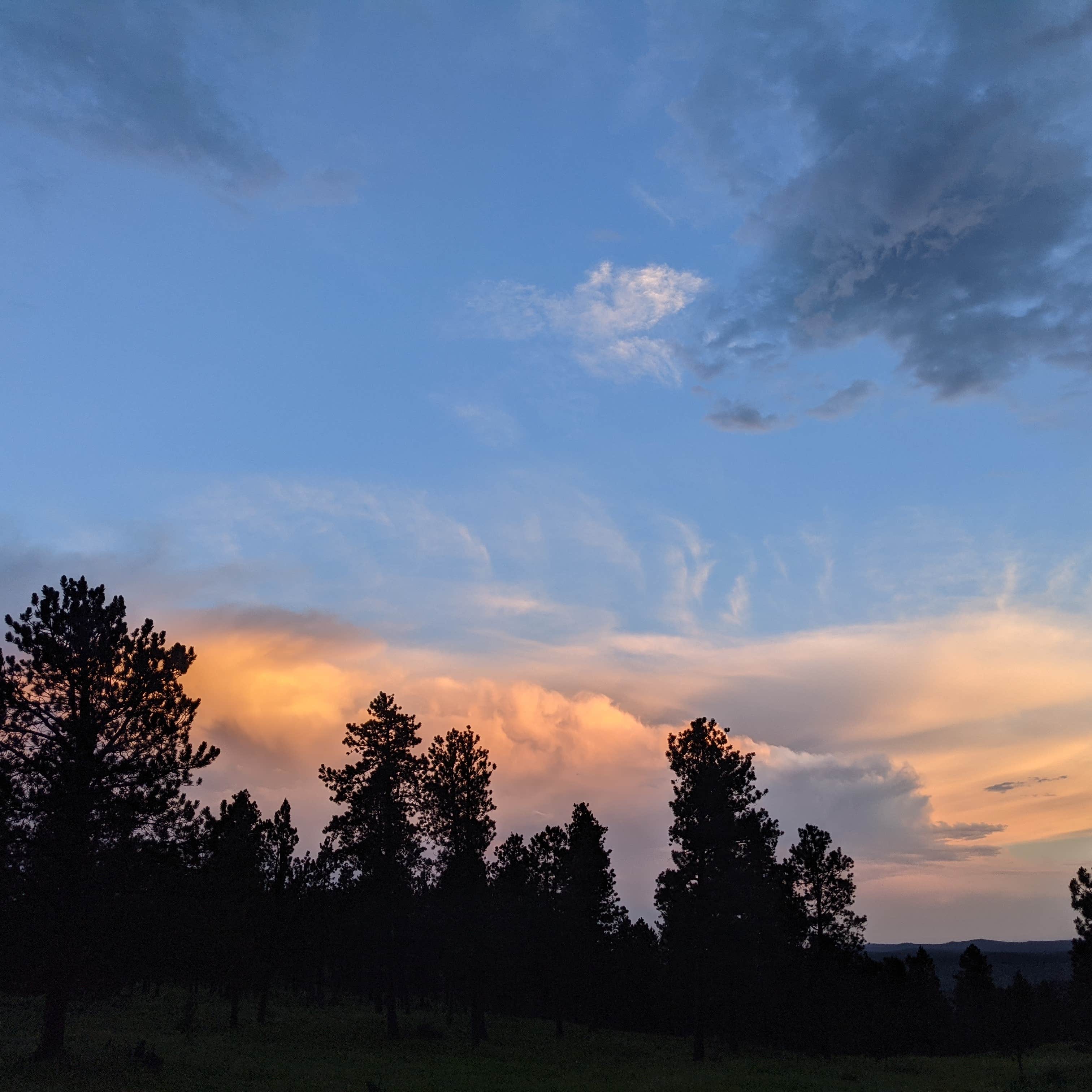 North Pole Rd Dispersed Camping Camping | The Dyrt