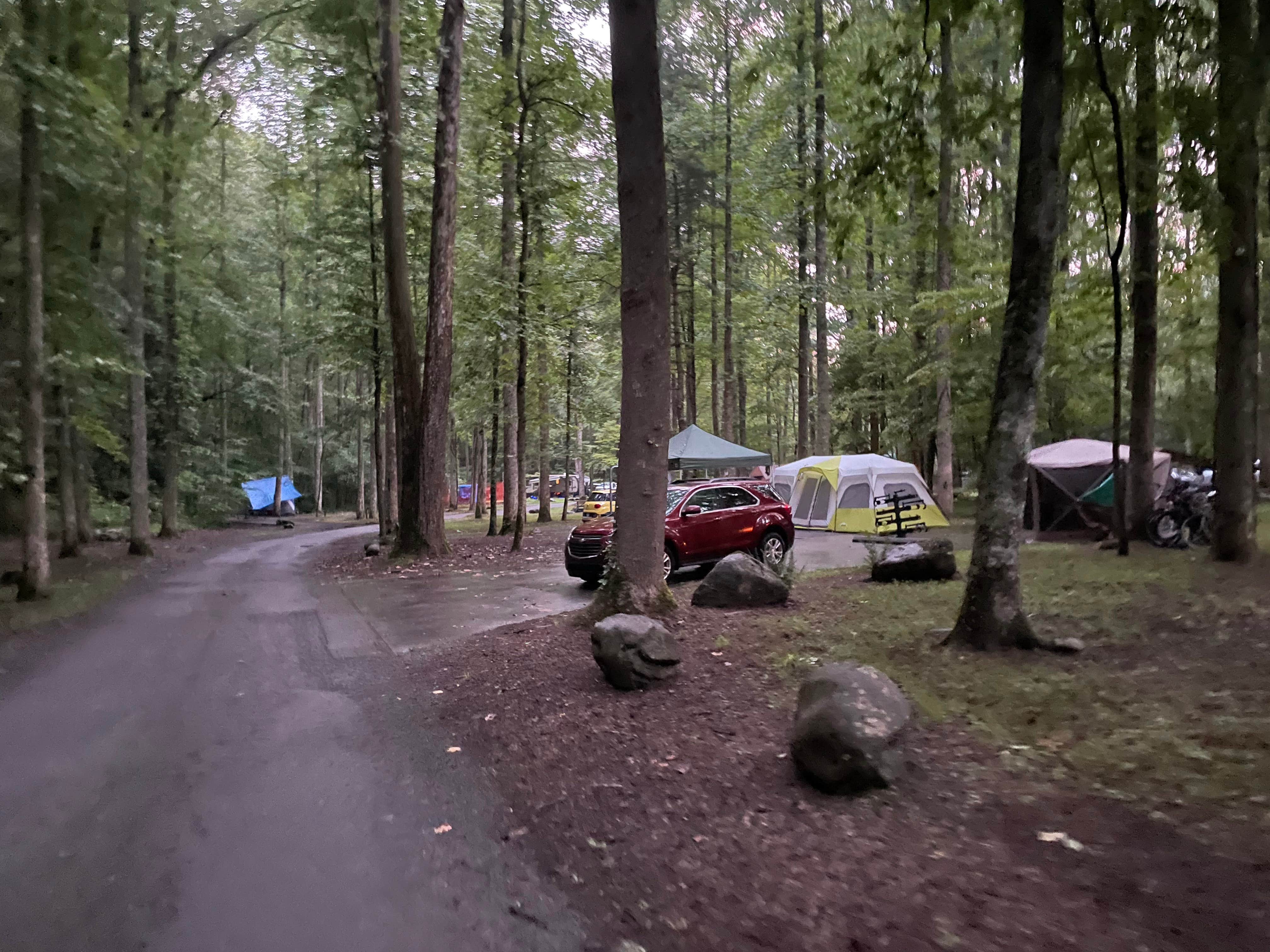Elkmont Campground | The Dyrt