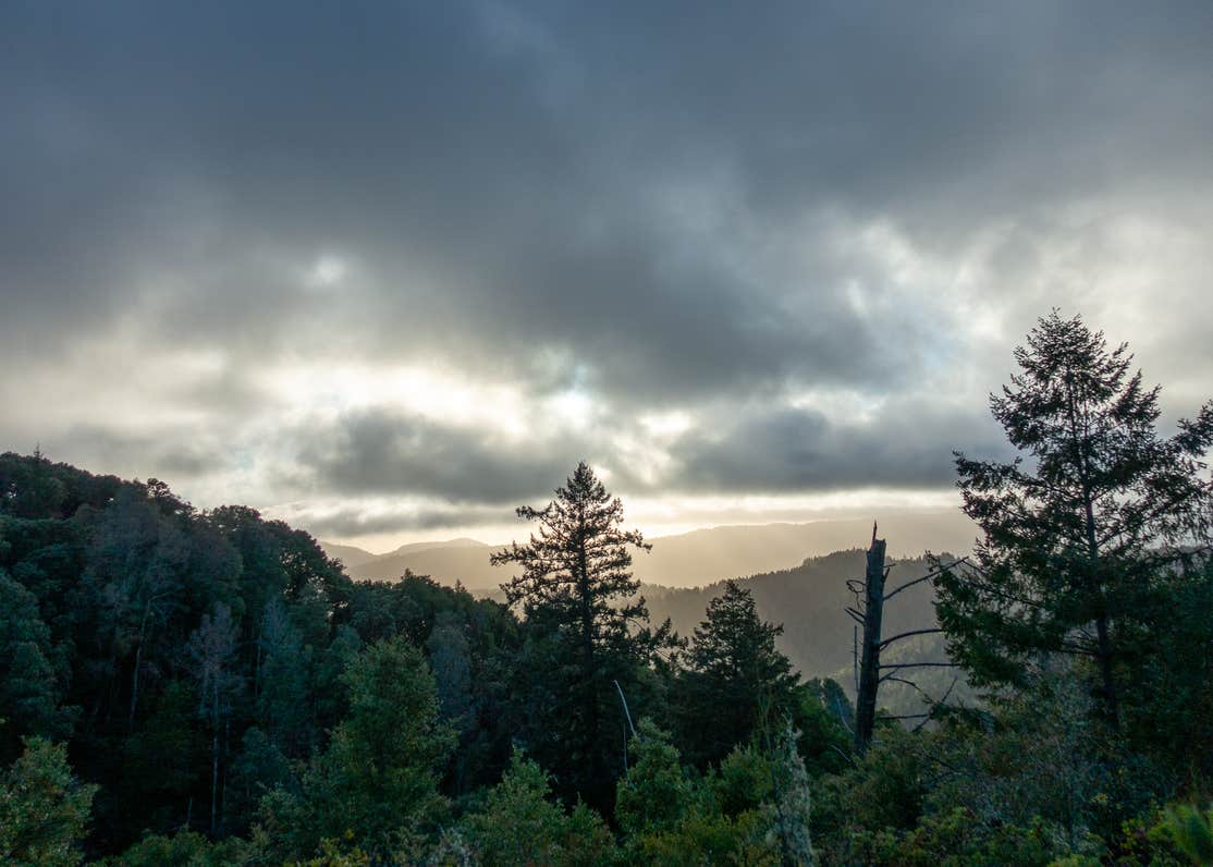 Castle Rock Trail Camp Camping | The Dyrt