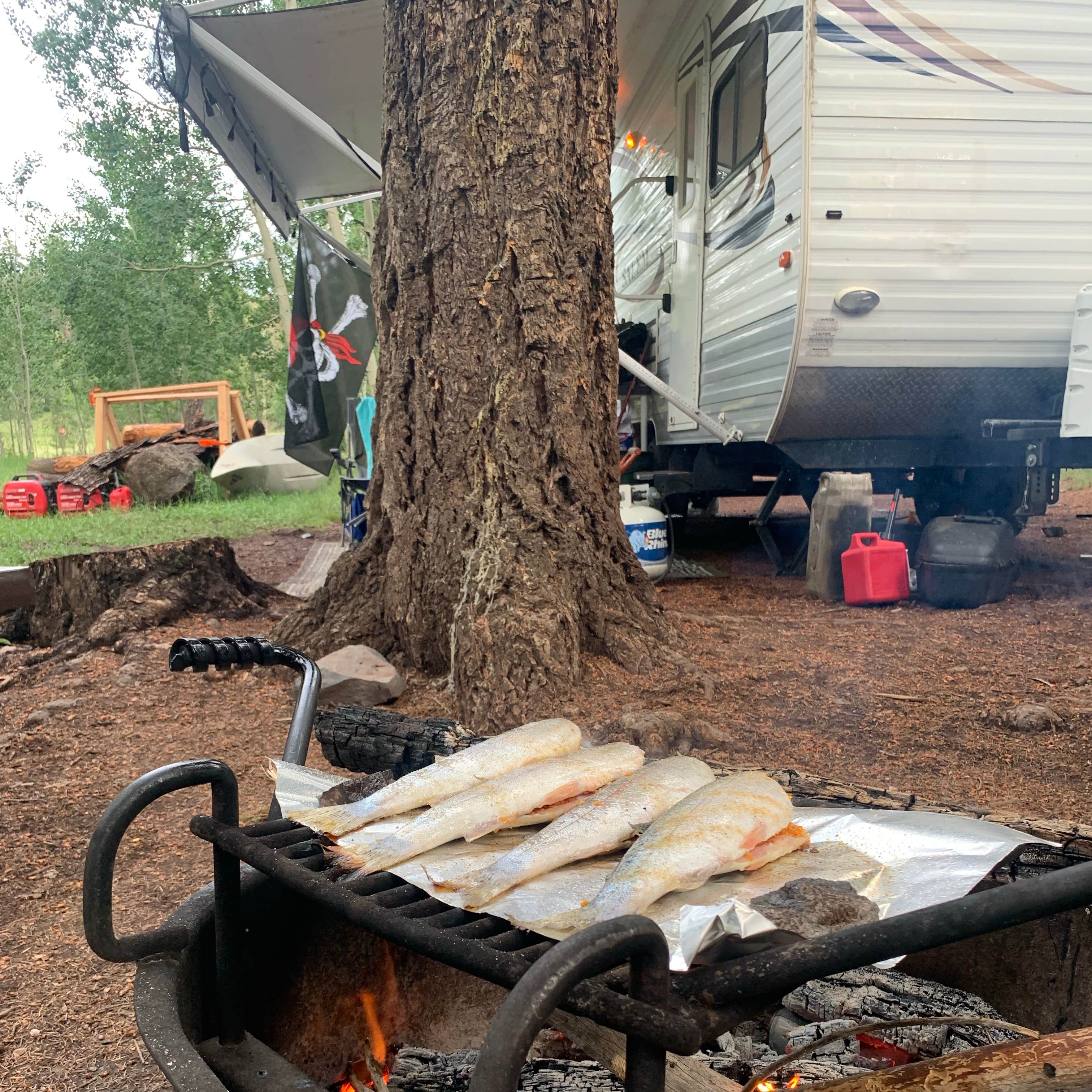 Big Lake Campground | Springerville, AZ