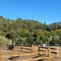 Casini Ranch Family Campground | Duncans Mills, California