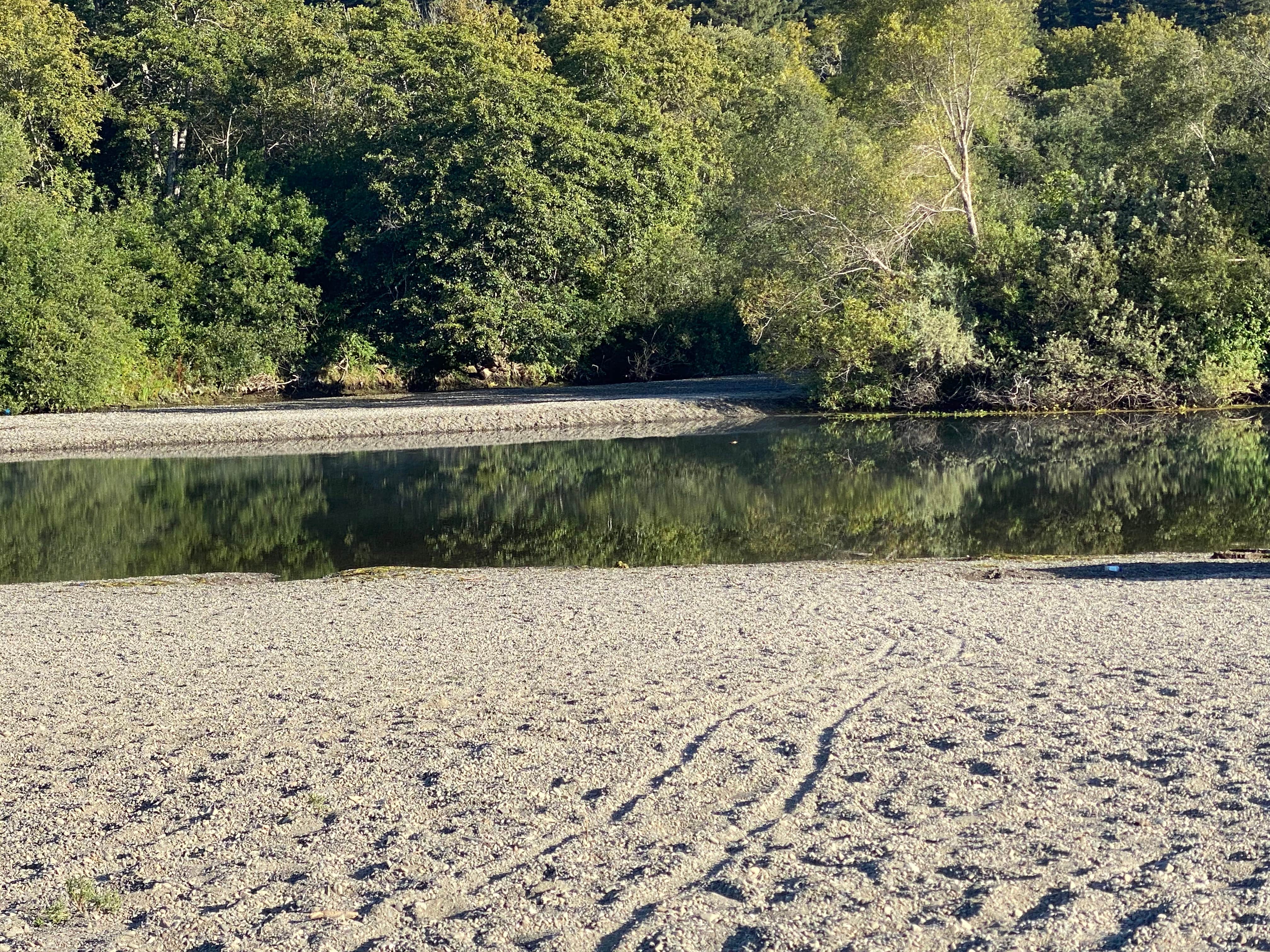 Casini Ranch Family Campground | The Dyrt