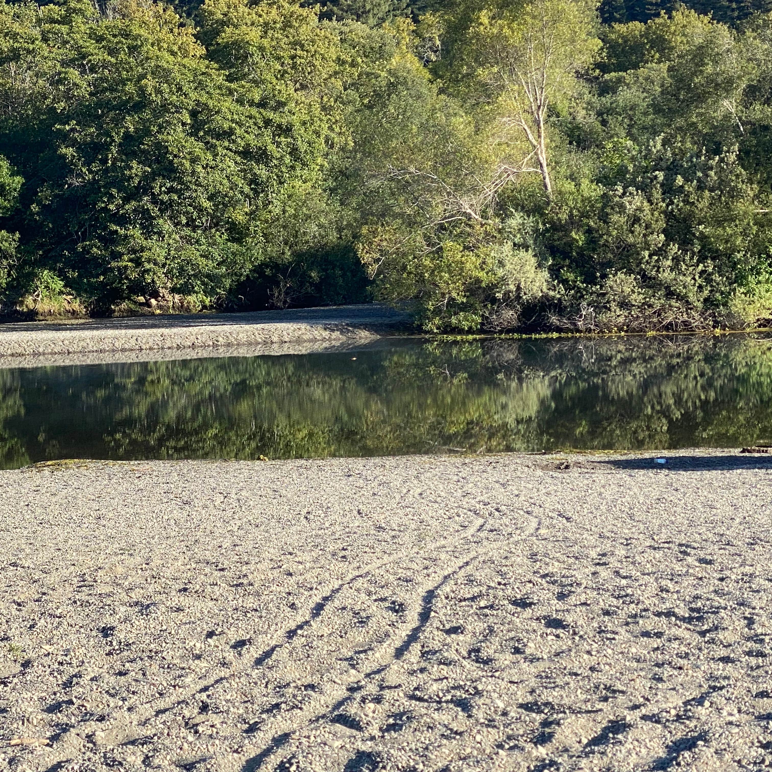 Casini Ranch Family Campground | Duncans Mills, California