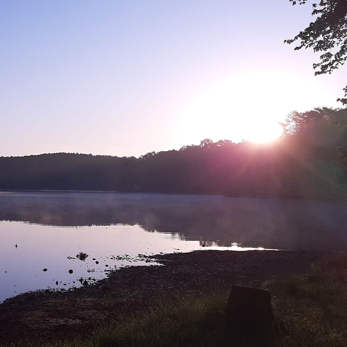 Jackson Island Campground - Dispersed Camping | The Dyrt