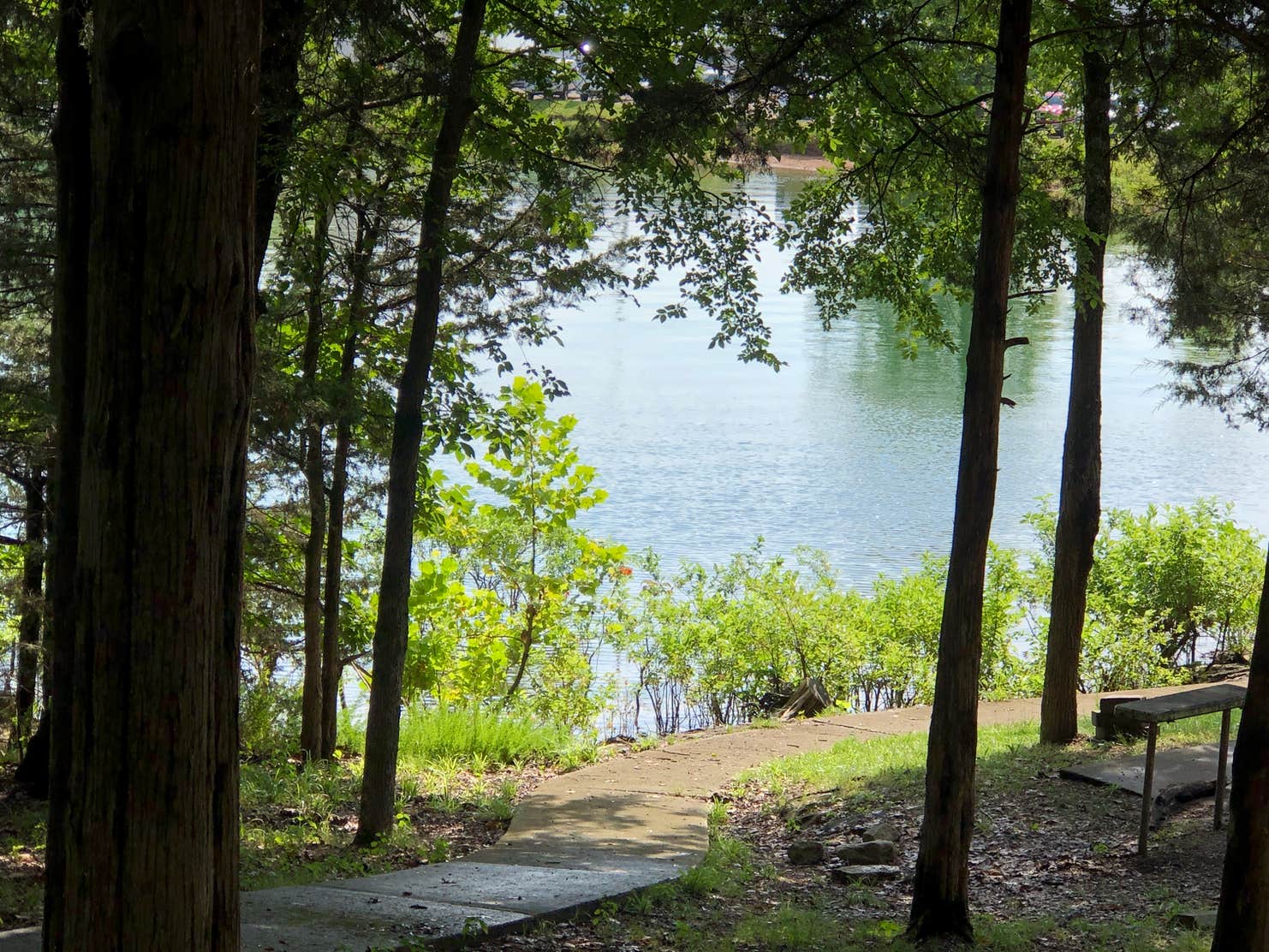 Rocky Branch | The Dyrt