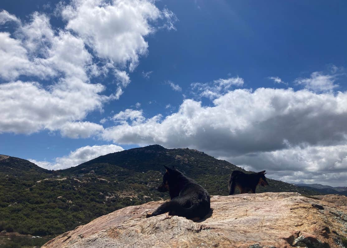 Sweetwater Ranch Camping | The Dyrt