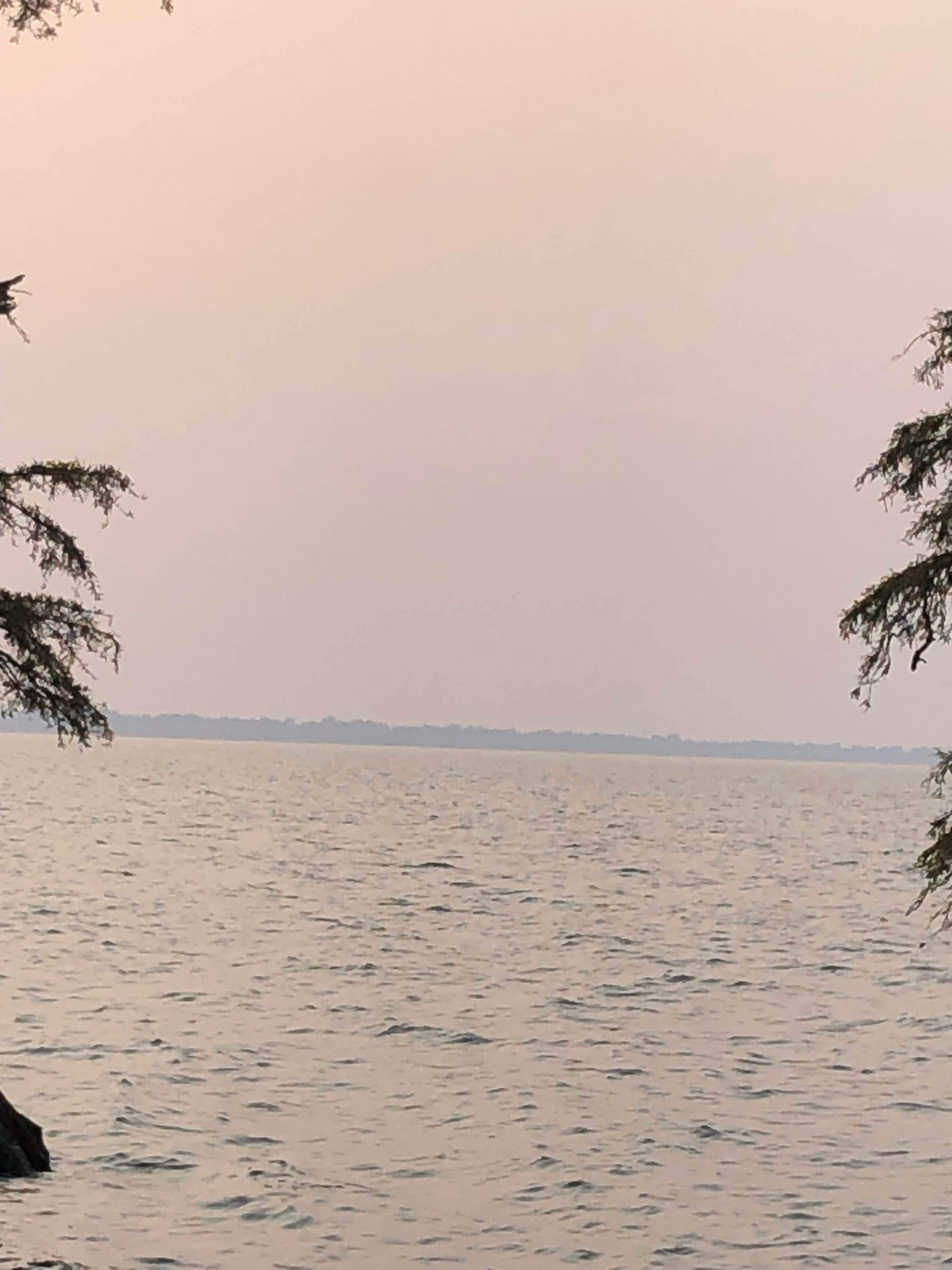 South Campground — Reelfoot Lake State Park | Tiptonville, TN