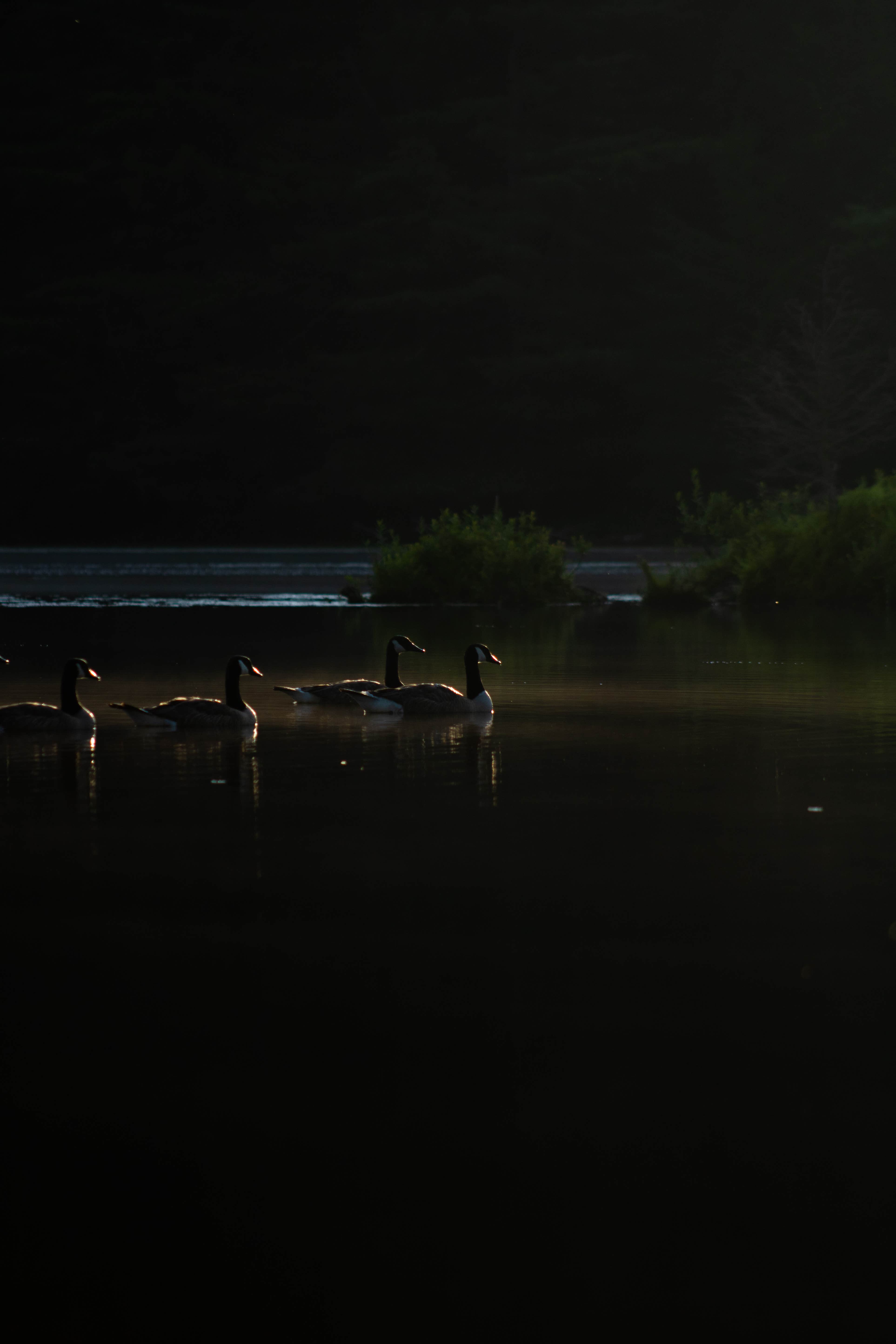 Cherry Plain State Park Campground | Petersburg, NY