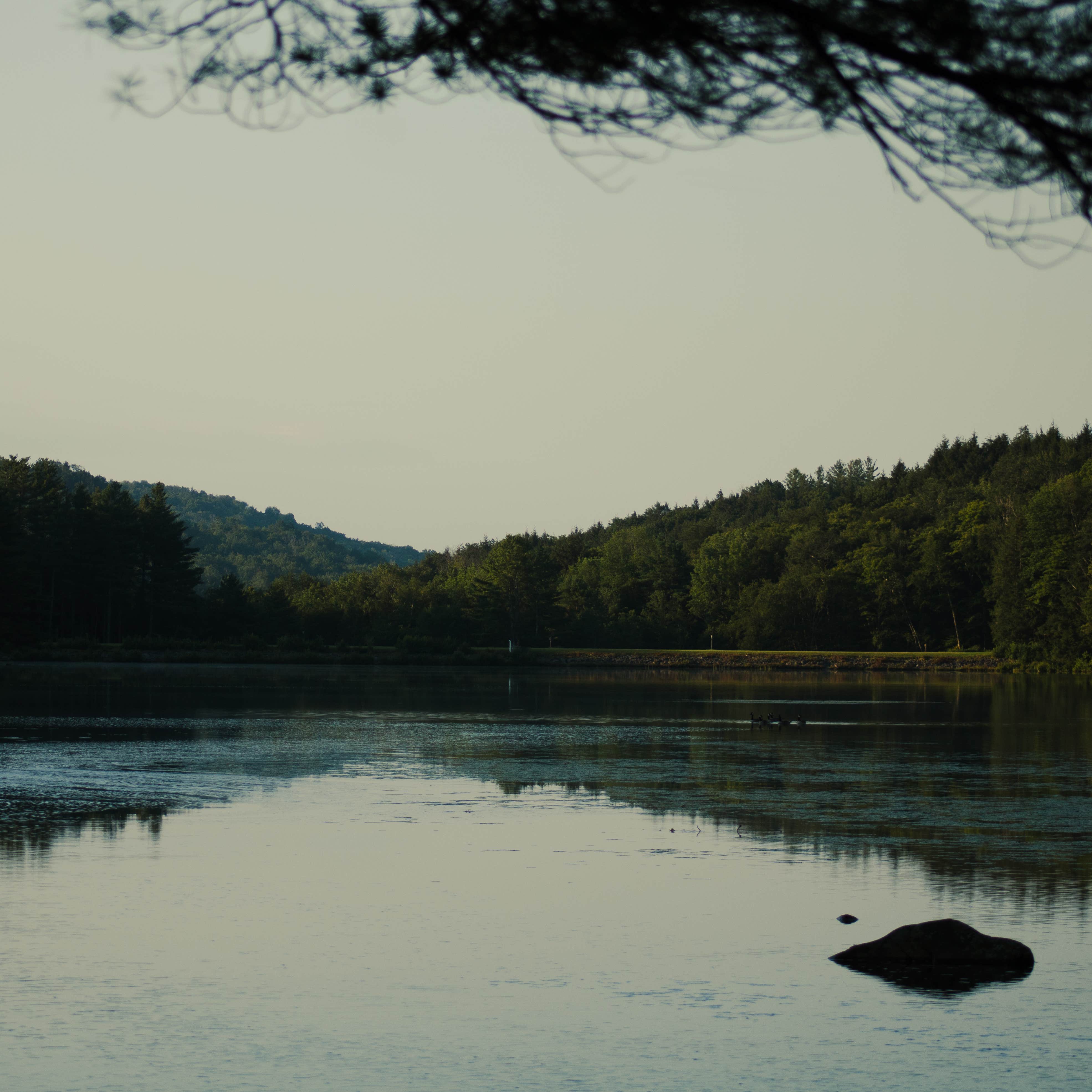 Cherry Plain State Park Camping | The Dyrt