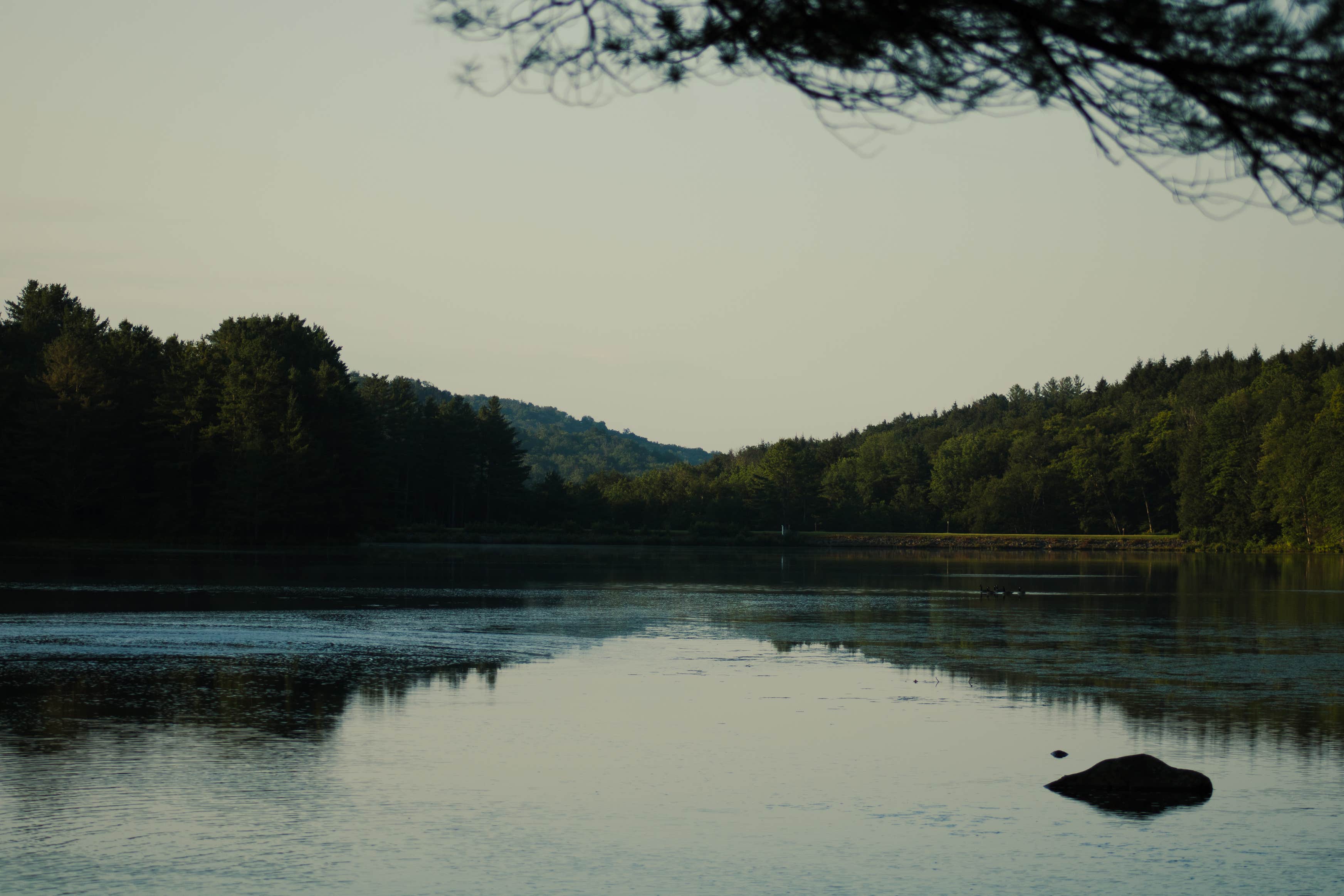 Cherry Plain State Park Camping | The Dyrt