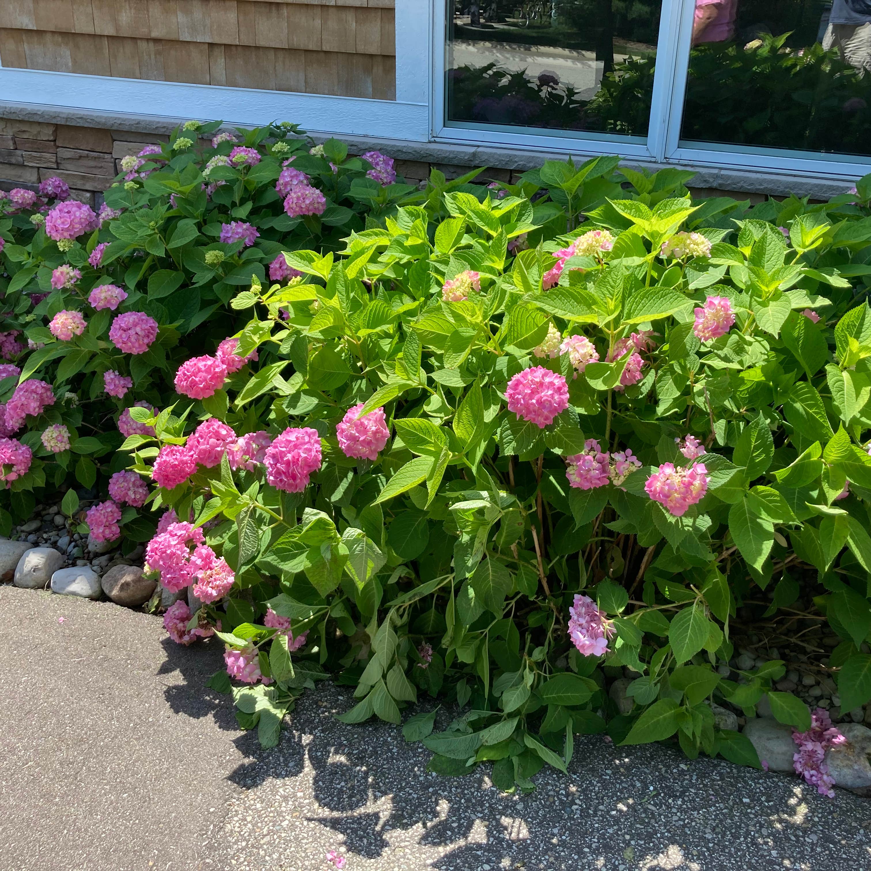 Petoskey RV Resort, A Sun RV Resort Camping | The Dyrt