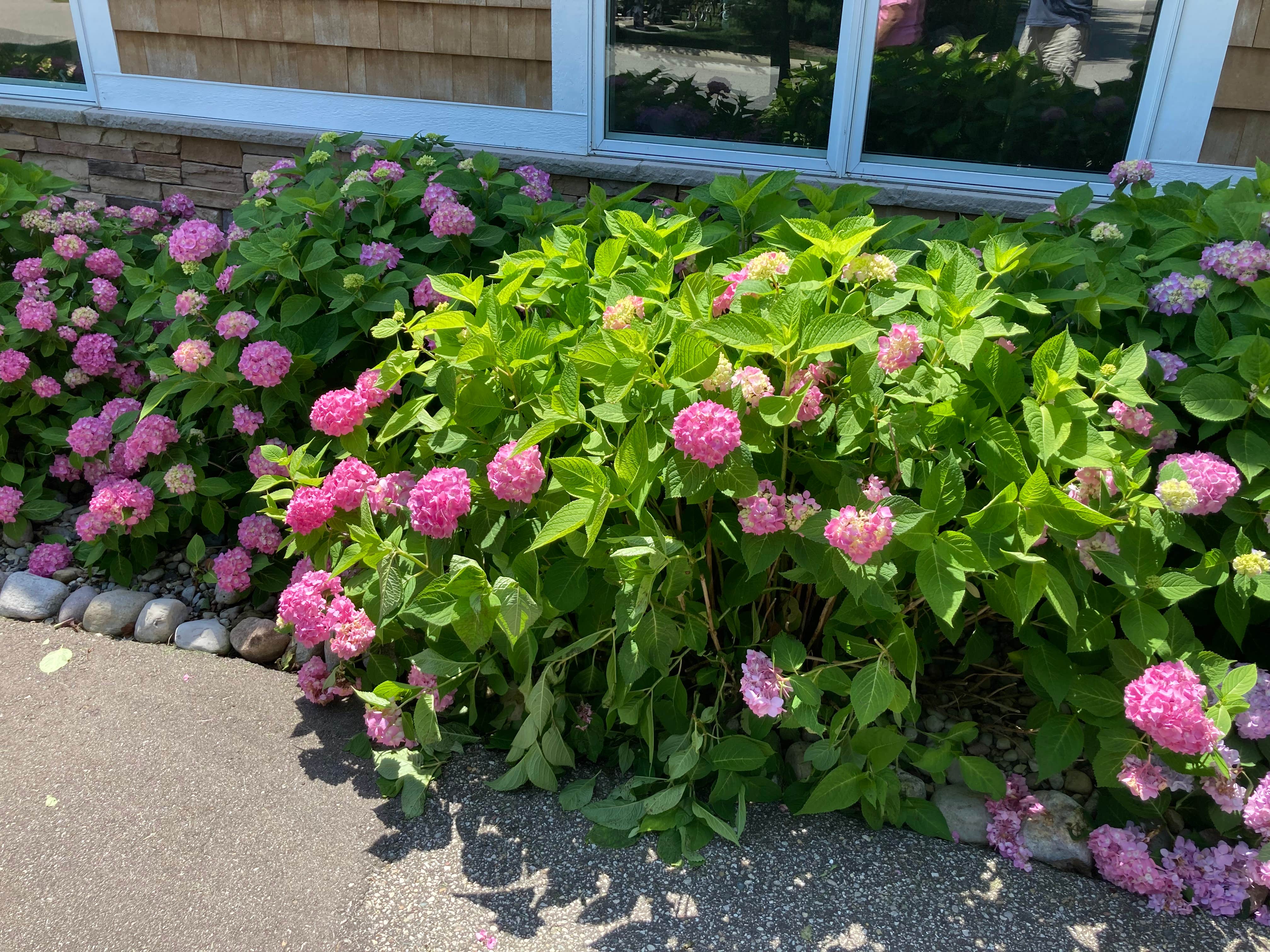 Petoskey RV Resort, A Sun RV Resort | Petoskey, MI