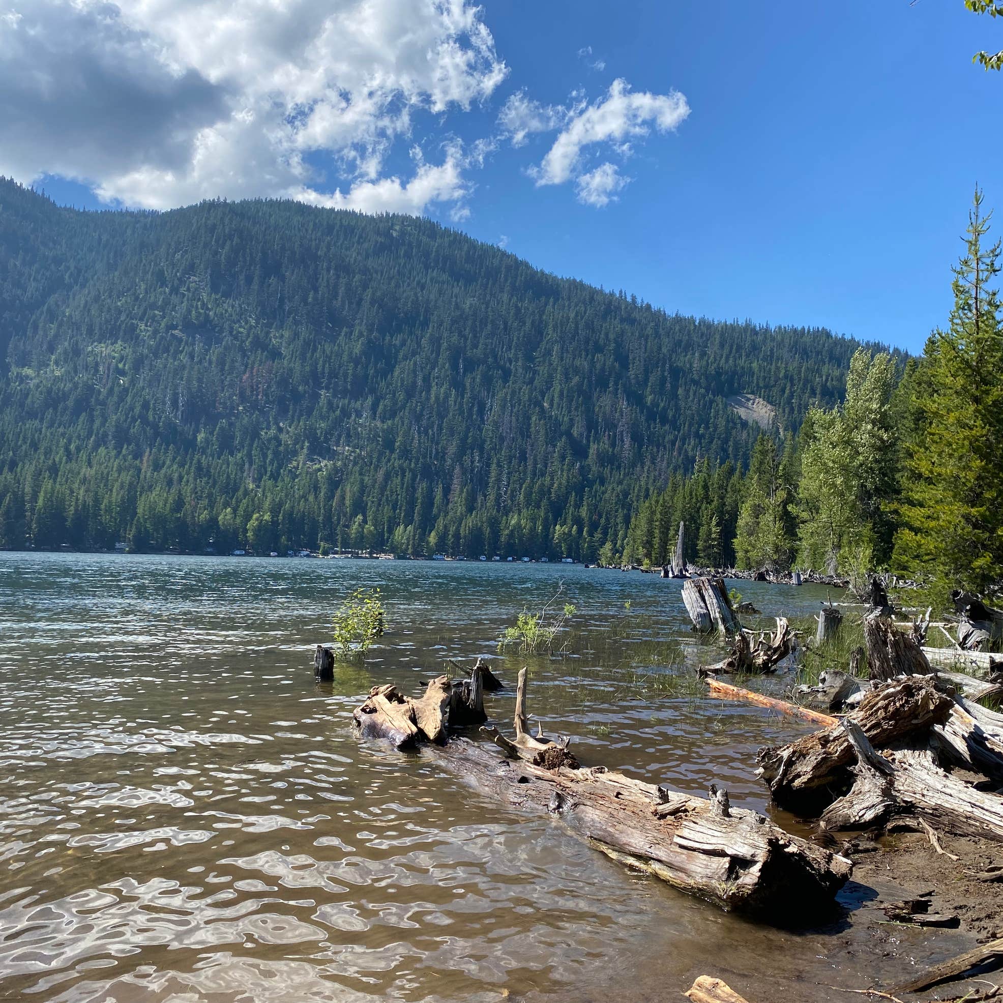 Bumping Lake Campground | Goose Prairie, Washington