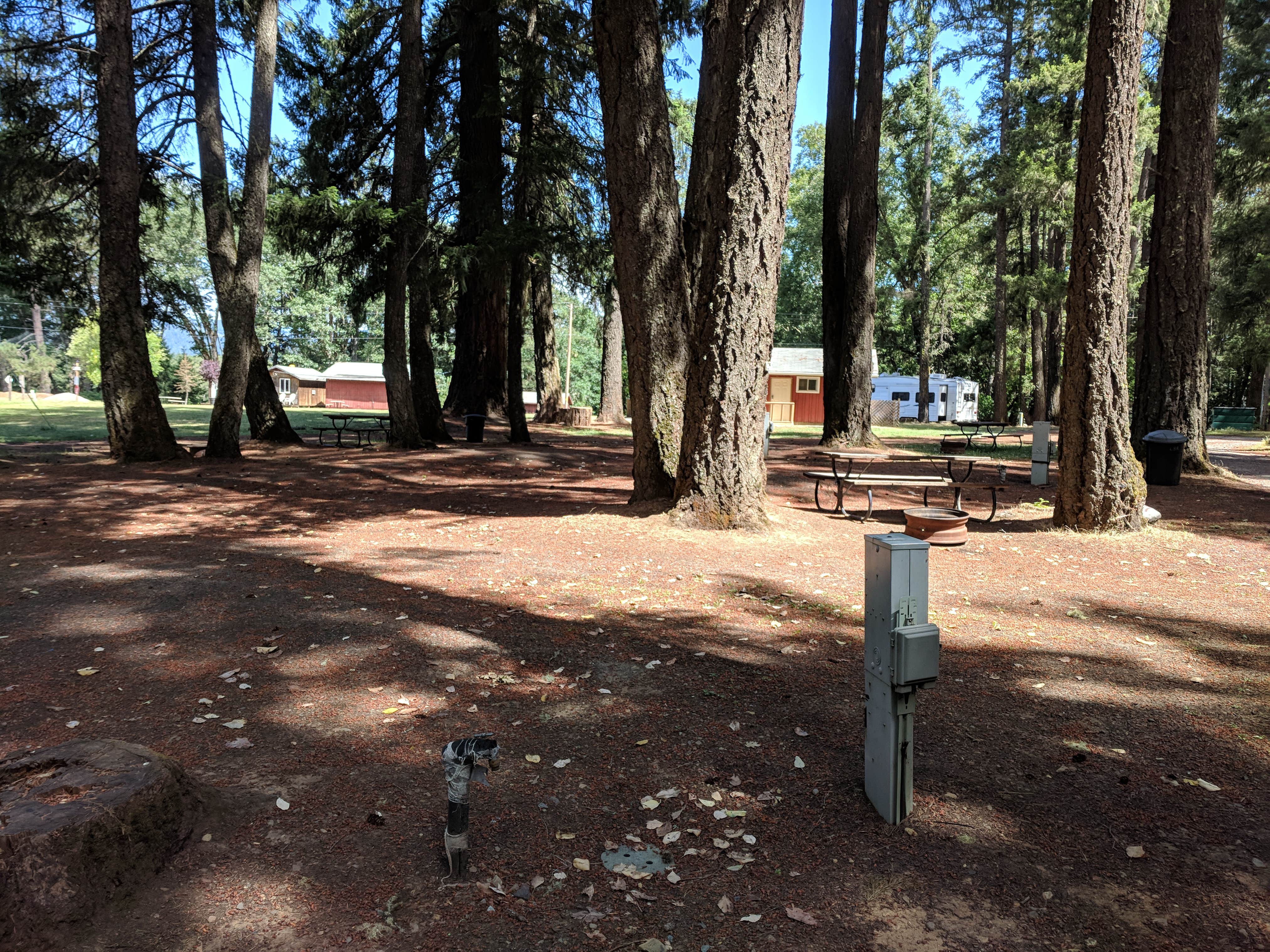 Cedar Bloom Camping | Cave Junction, OR