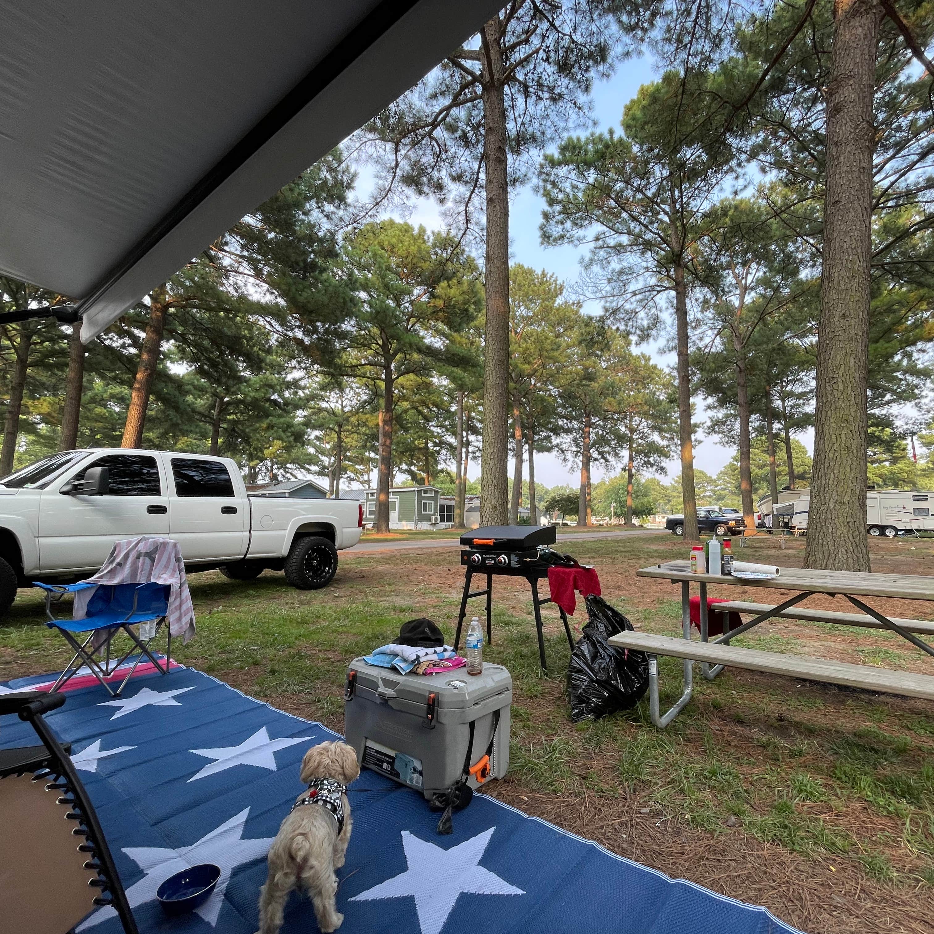 Bethpage Camp-Resort | Saluda, Virginia