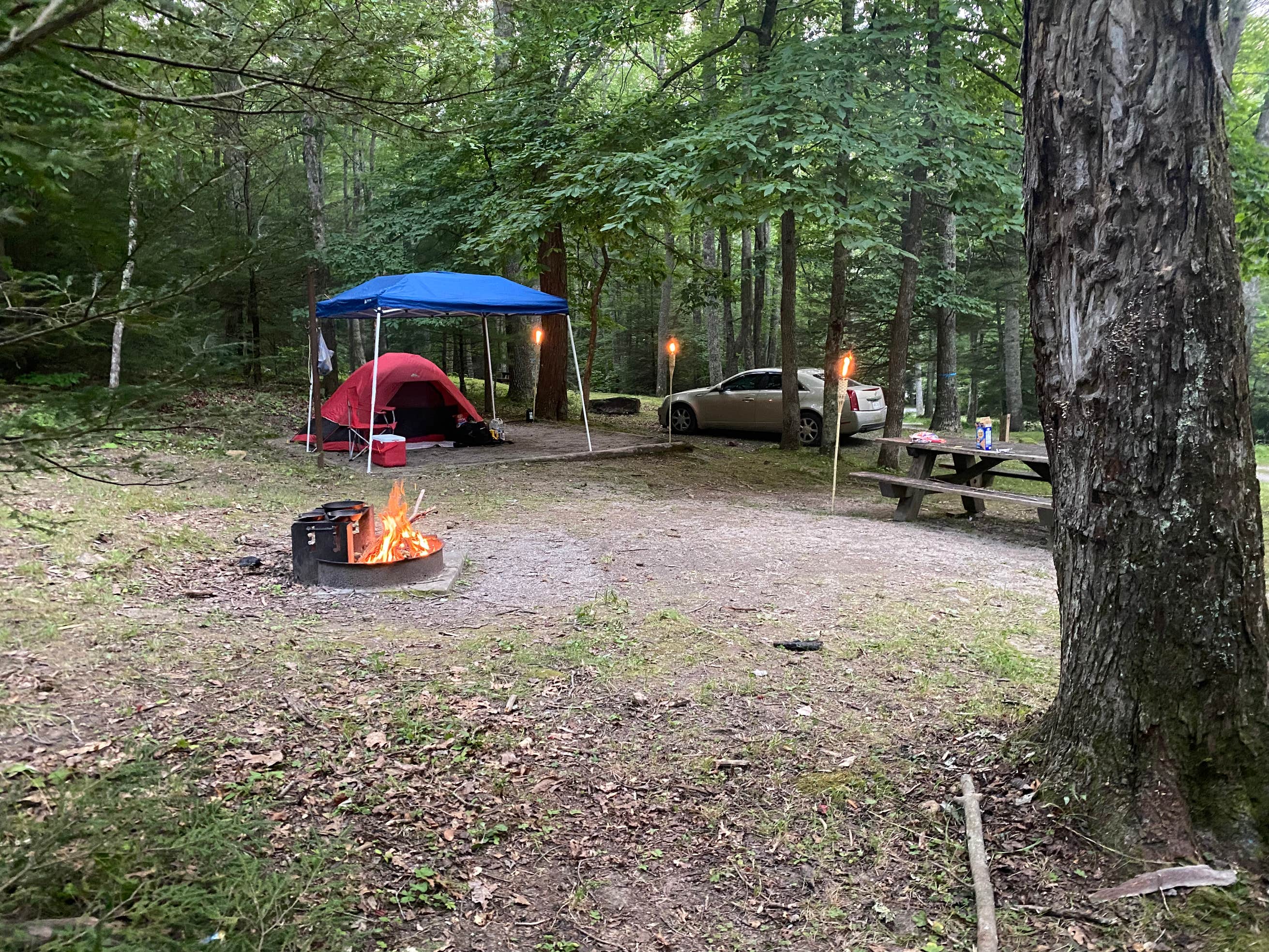 White Rocks Campground Camping | The Dyrt