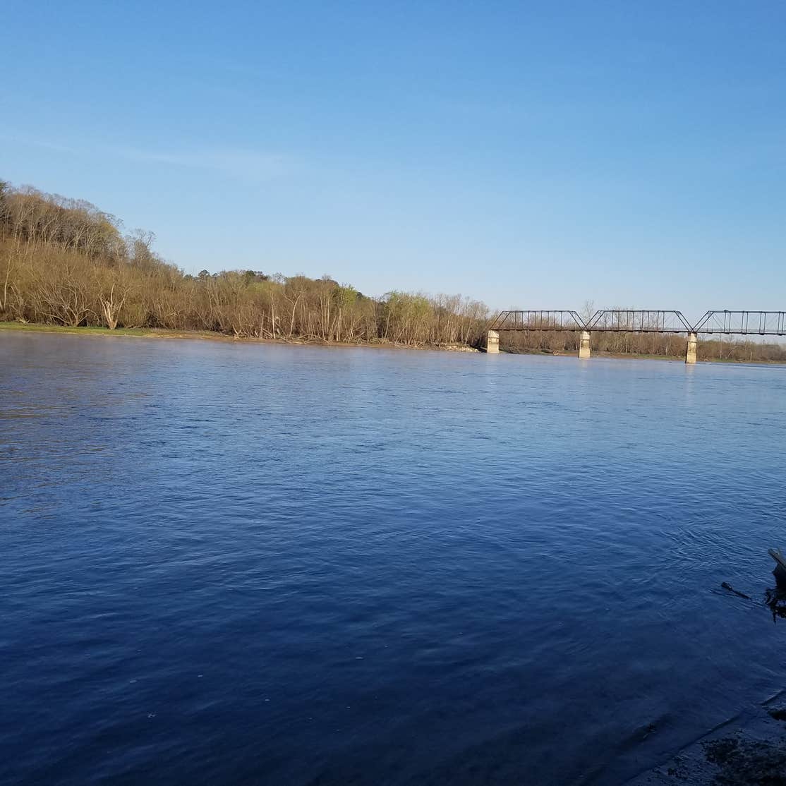 Douglas Dam Headwater Campground Camping | The Dyrt