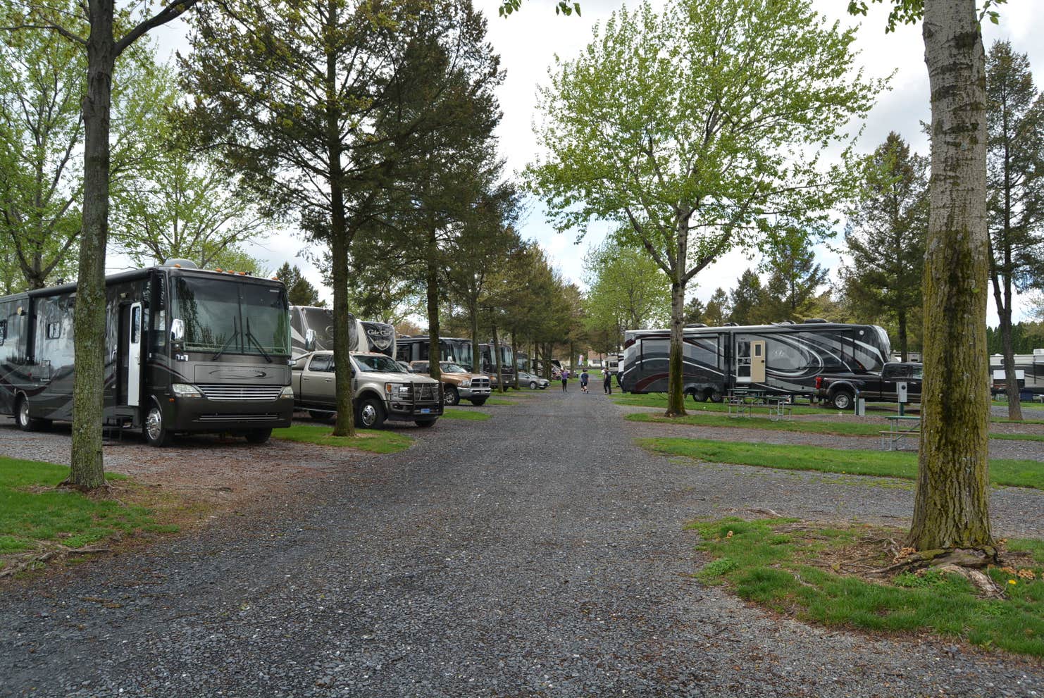 Pine Hill RV Park Camping | The Dyrt