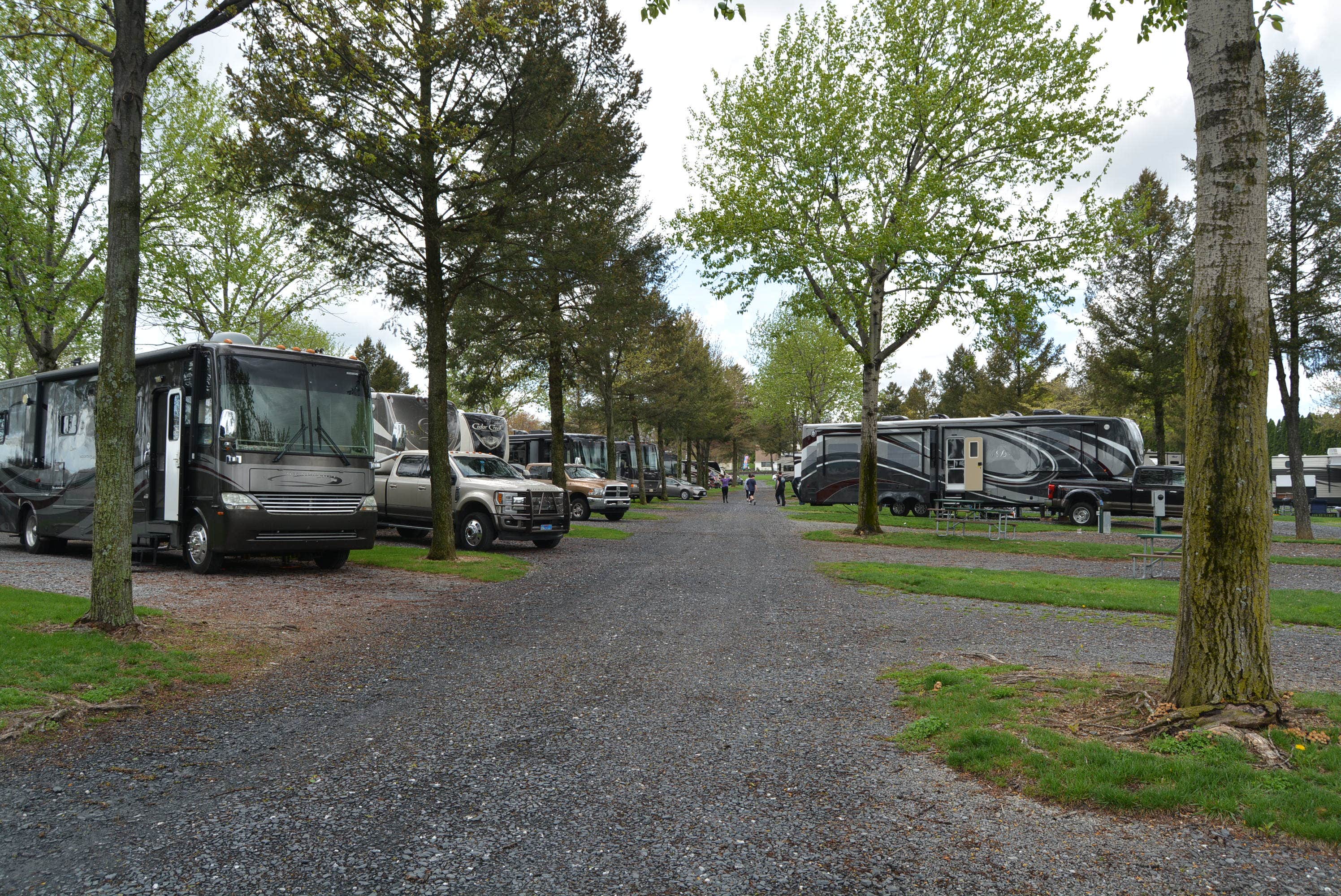 Pine Hill RV Park | Kutztown, Pennsylvania