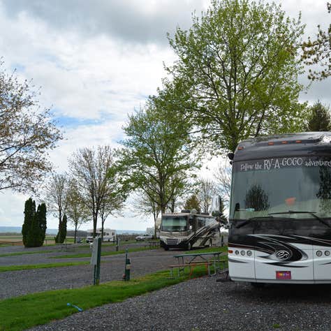 Pine Hill RV Park | Kutztown, Pennsylvania