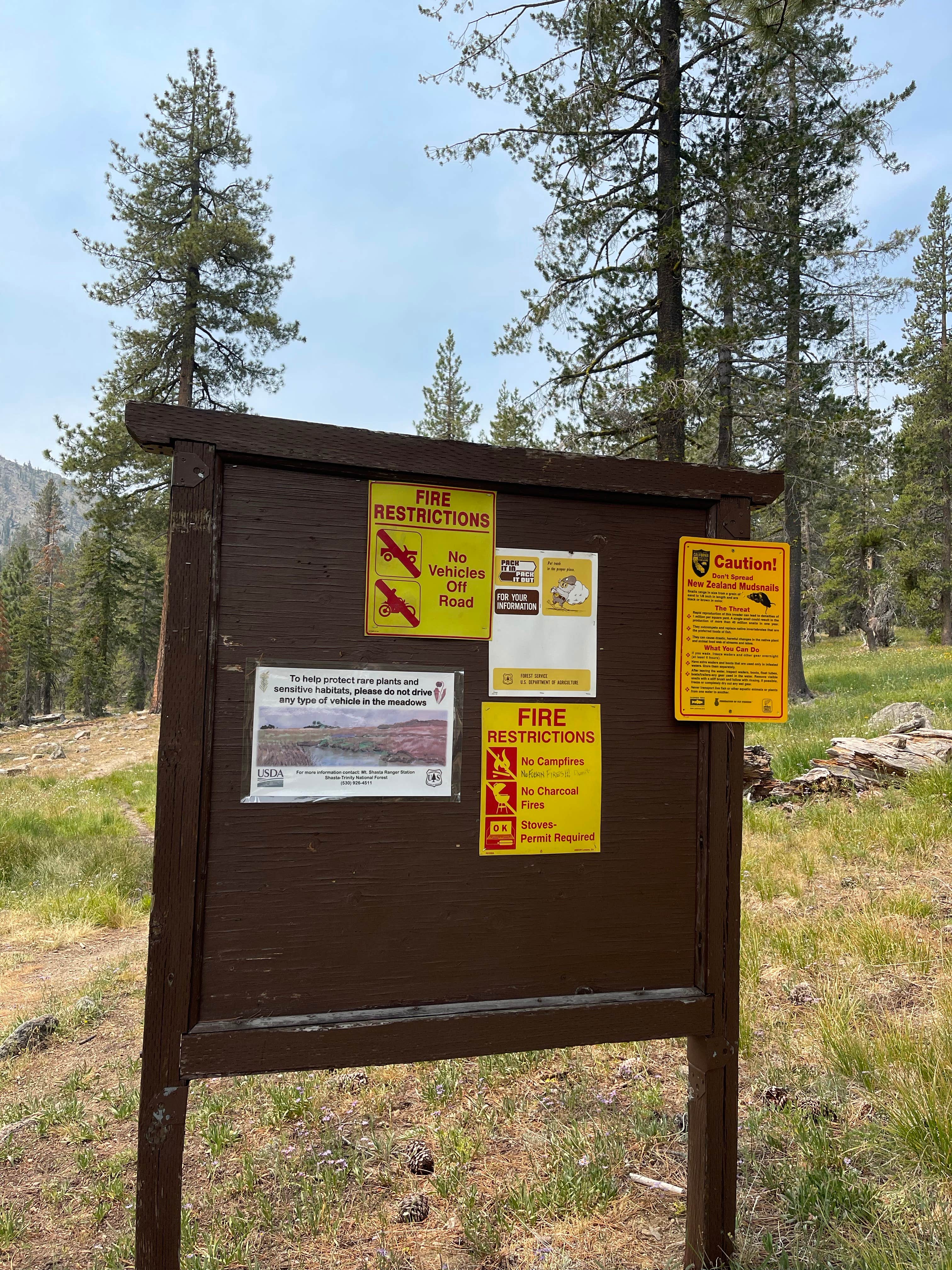 Toad Lake Campground | Mount Shasta, CA