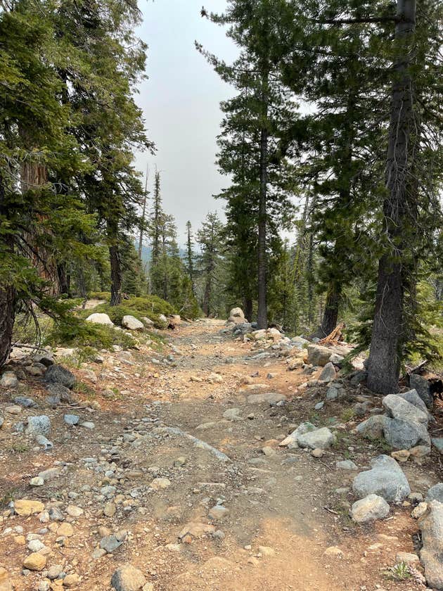 Toad Lake Campground Camping | The Dyrt