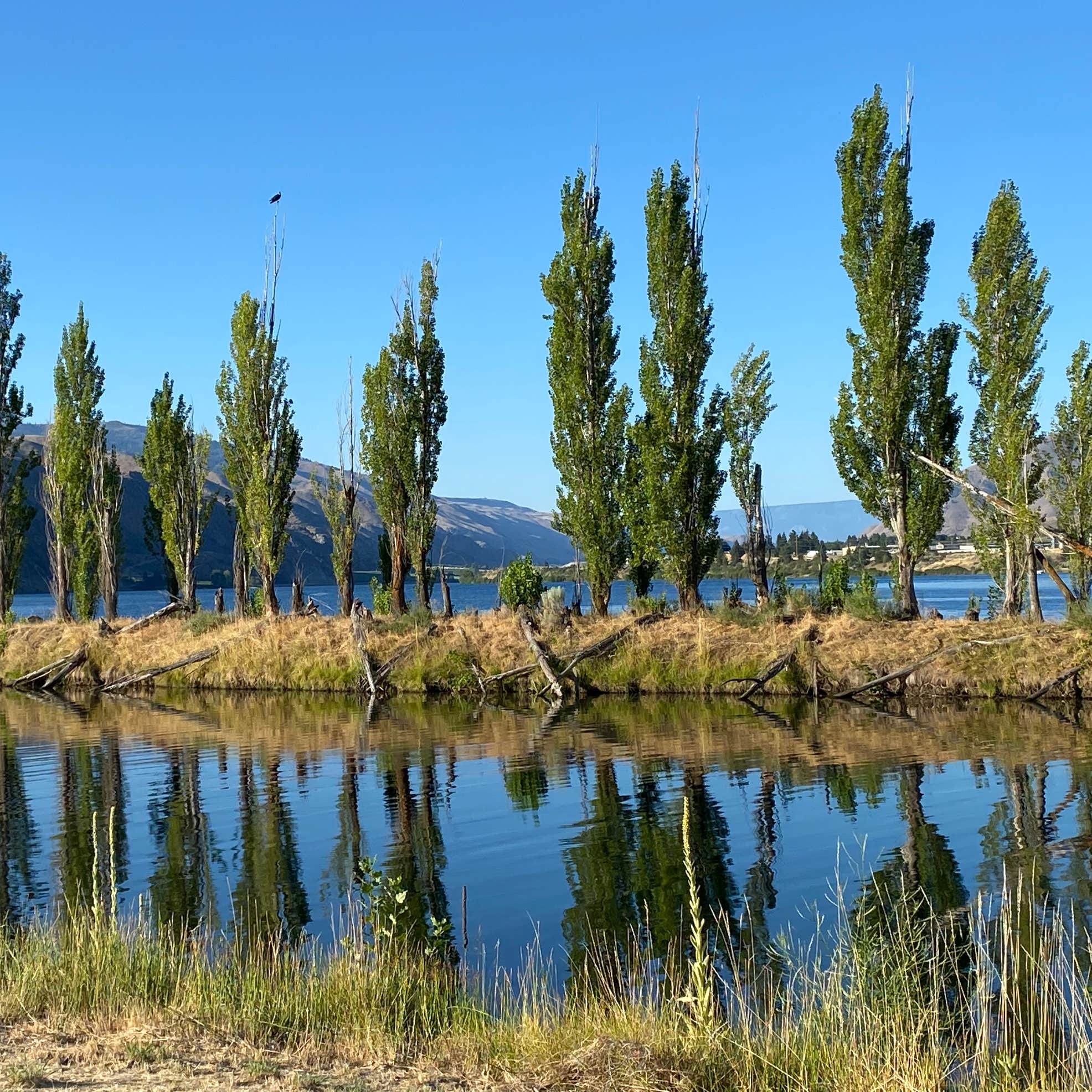 Daroga State Park Camping | The Dyrt