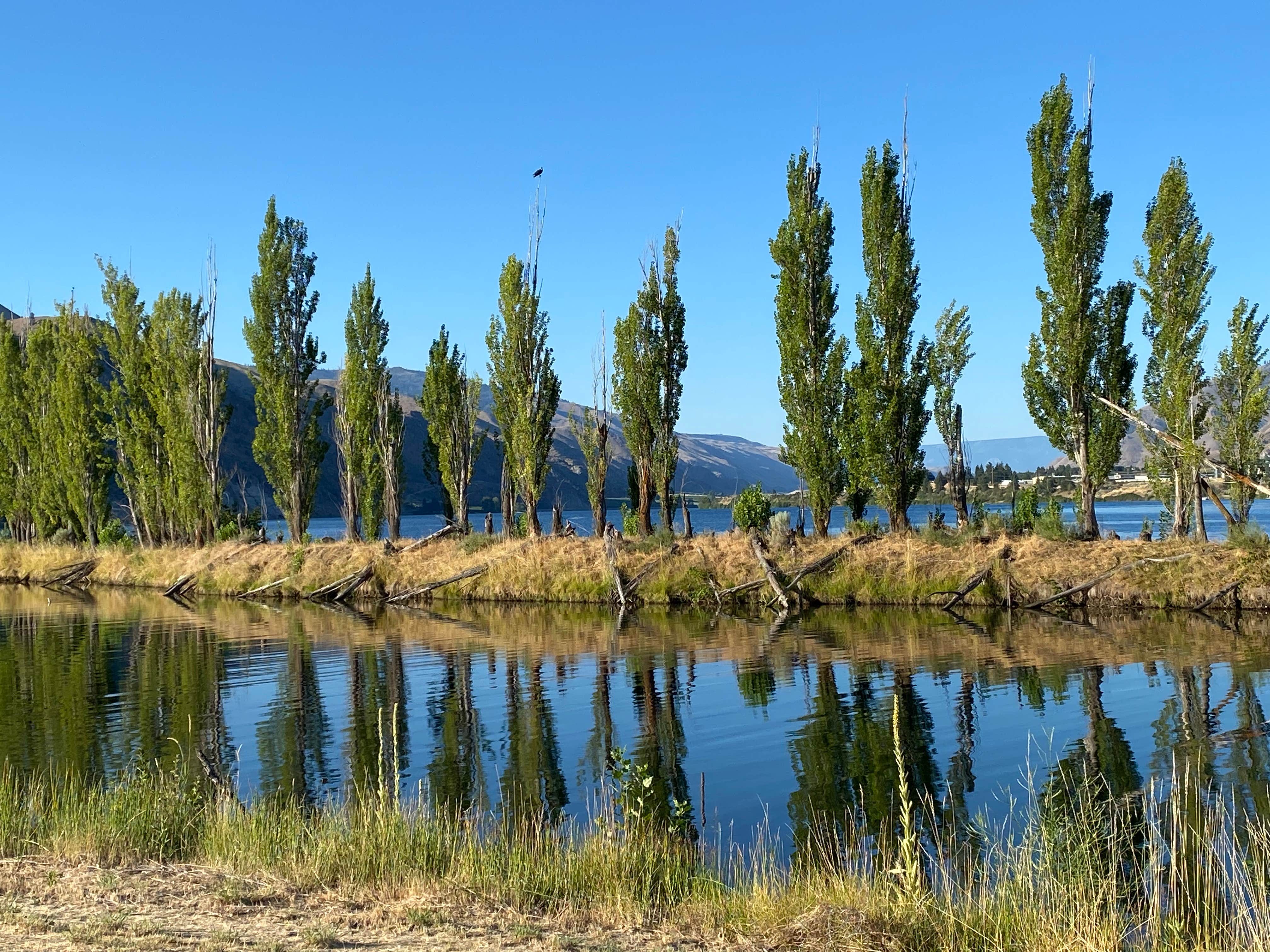 Daroga State Park Campground | Entiat, Washington