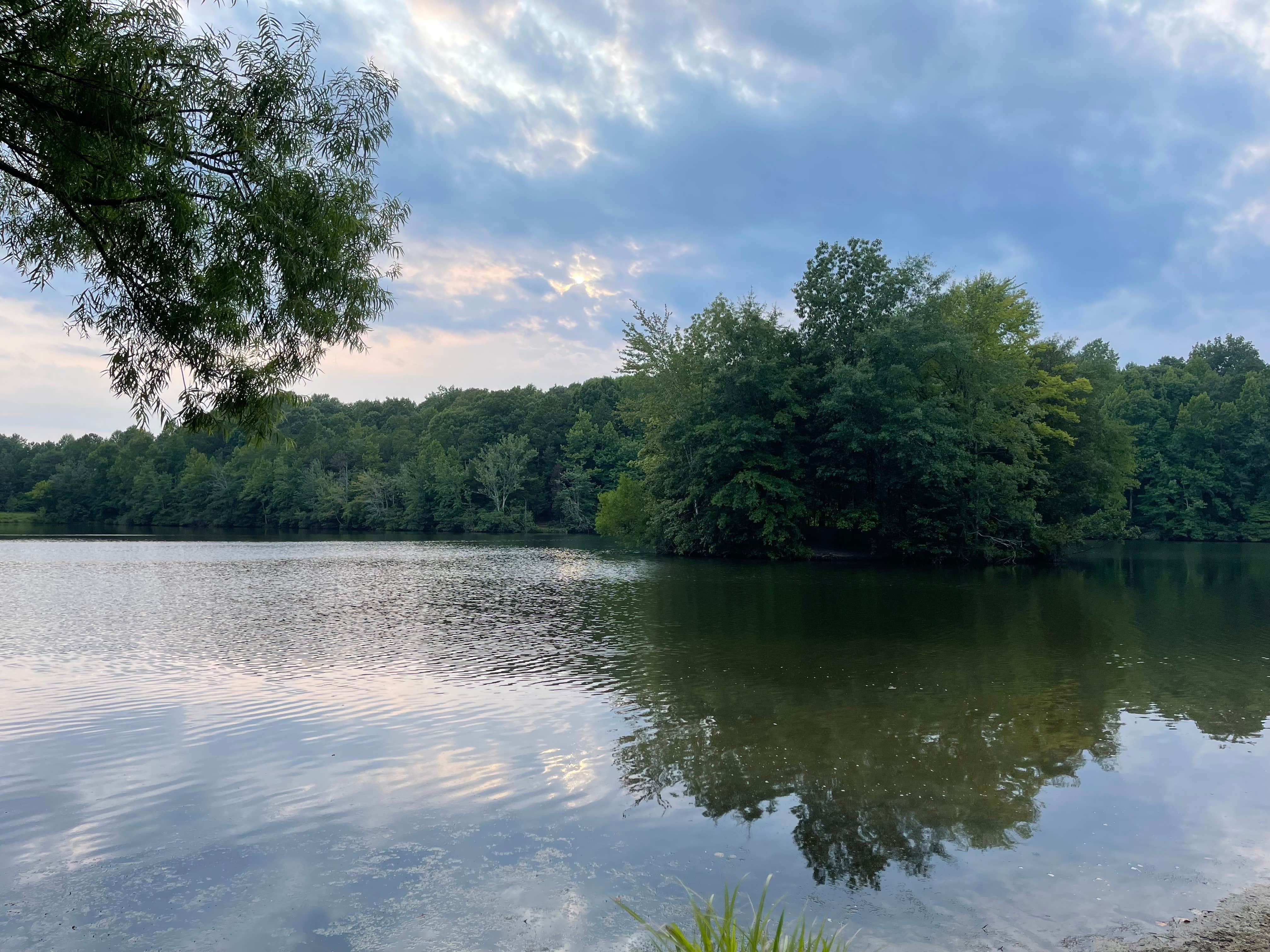Andrew Jackson State Park Campground | Lancaster, SC
