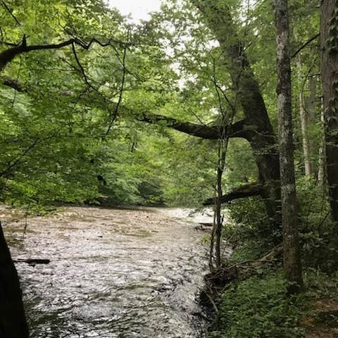 Abrams Creek Campground — Great Smoky Mountains National Park ...