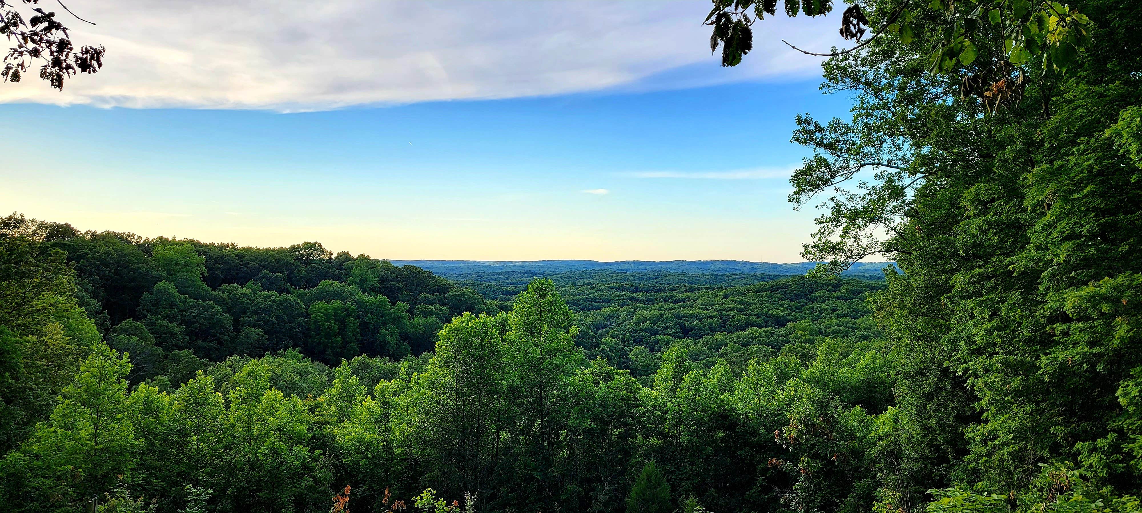 Yellowwood State Forest | The Dyrt