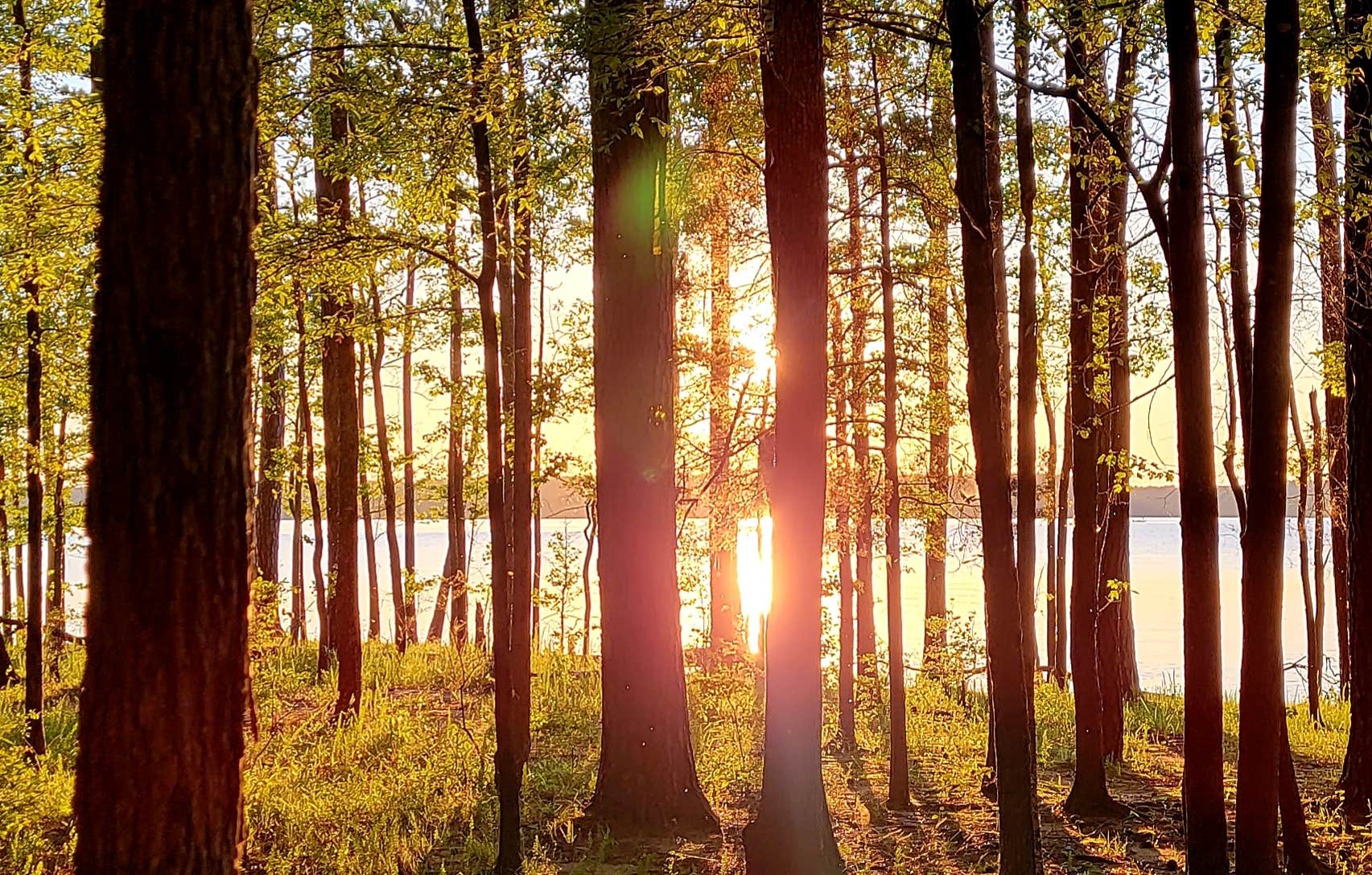 Rolling View - Falls Lake State Recreation Area | The Dyrt