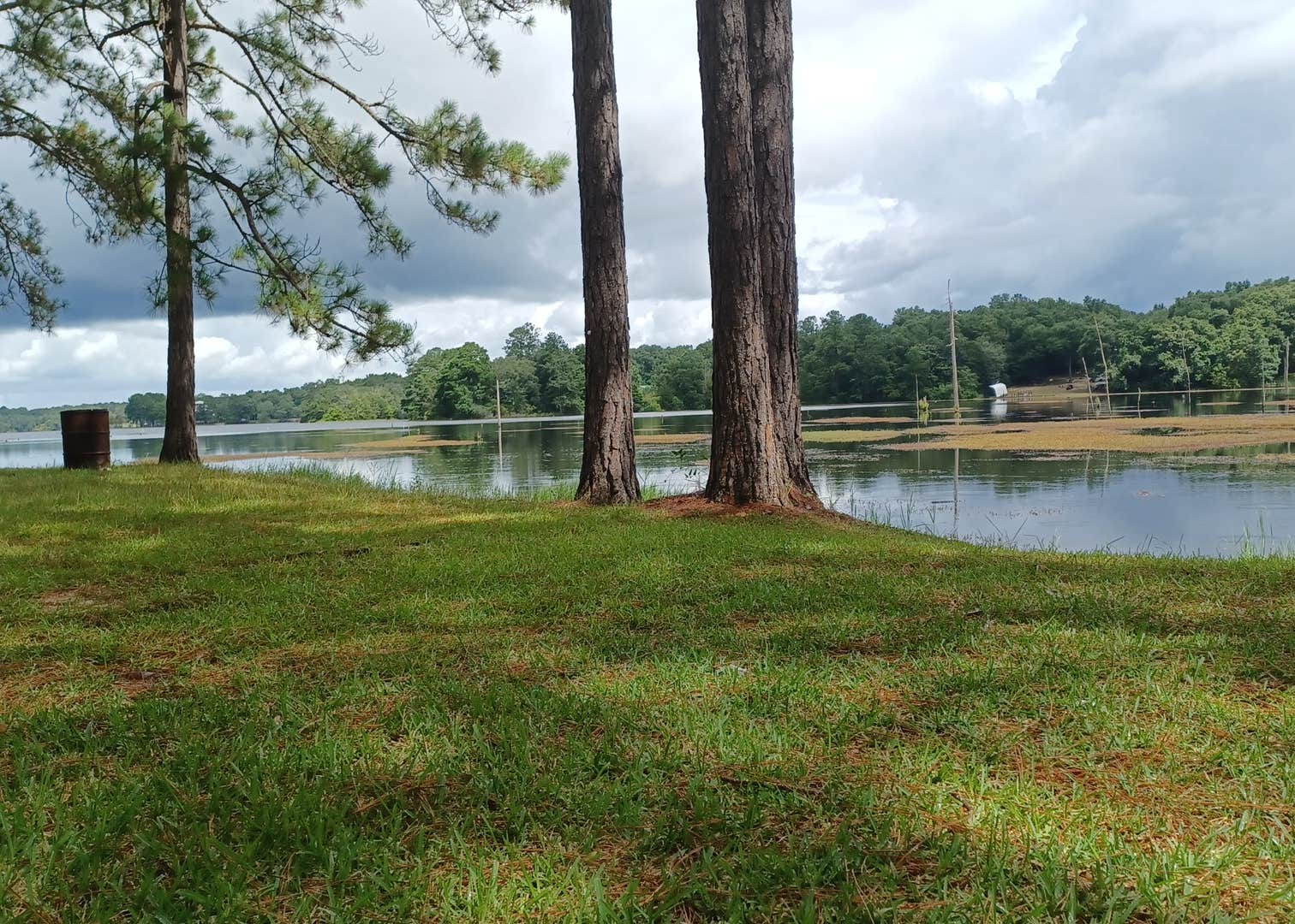 Bass Haven Campground Camping | The Dyrt