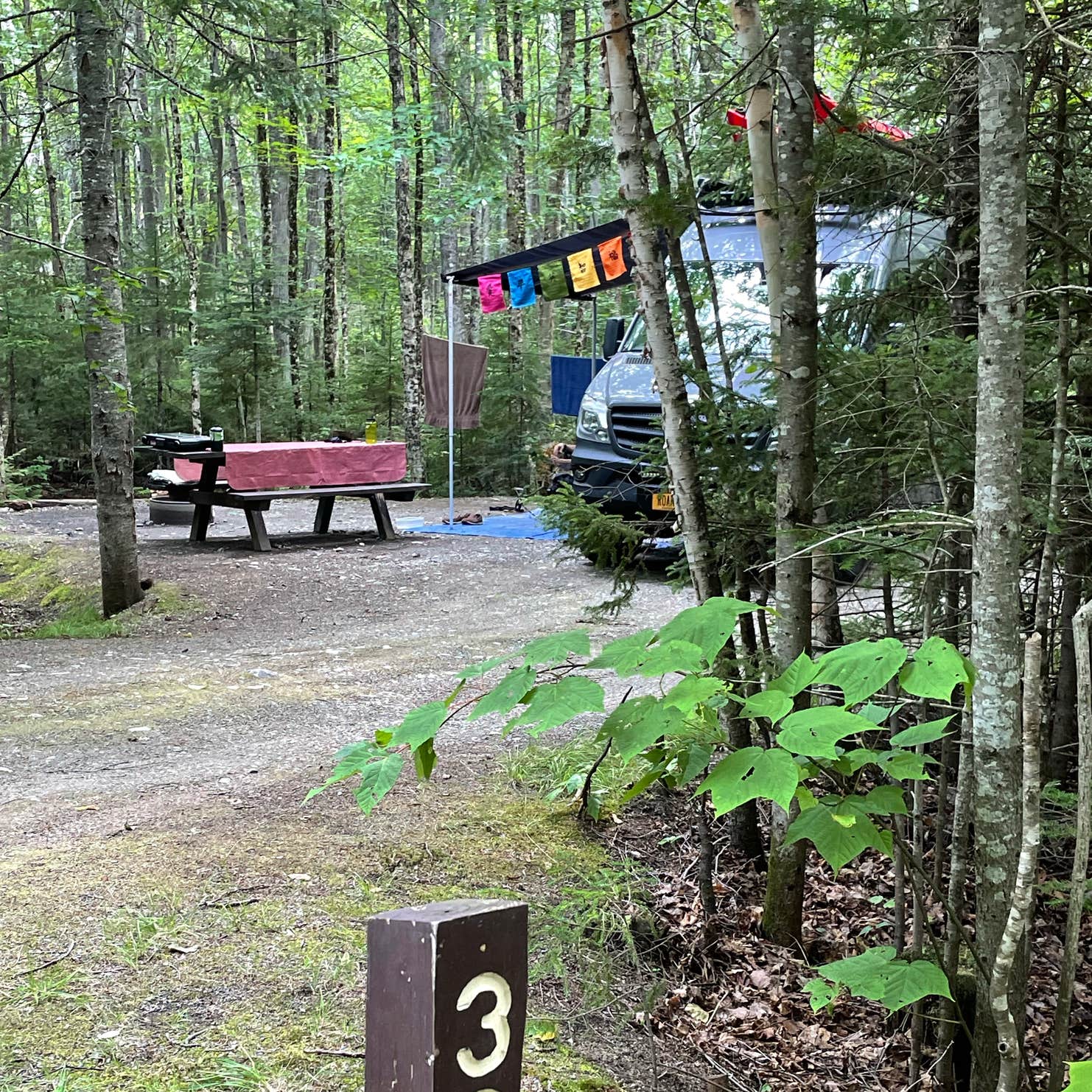 Rangeley Lake State Park Campground | Rangeley, Maine