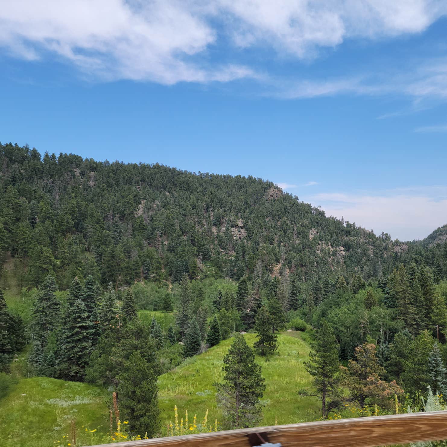 Aspen Acres Campground | Rye, CO