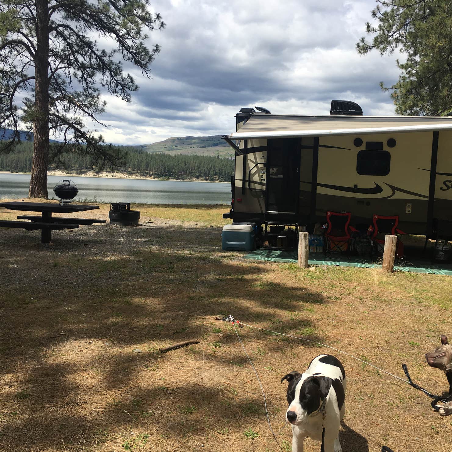 Evans Campground - Lake Roosevelt National Rec Area Camping | The Dyrt