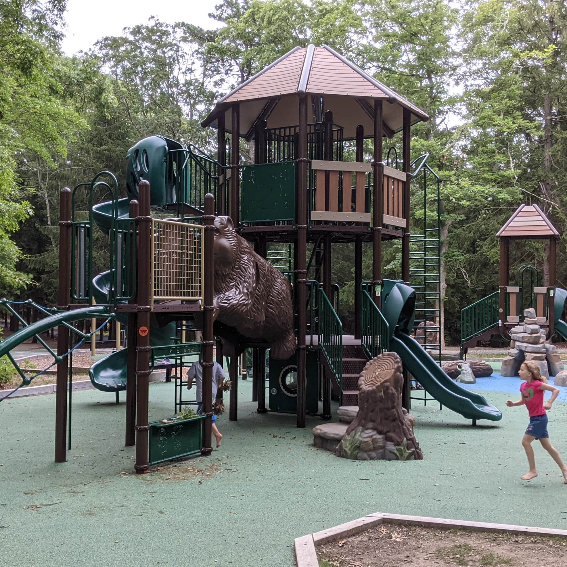 Shawme Crowell State Forest Campground | Sandwich, Massachusetts