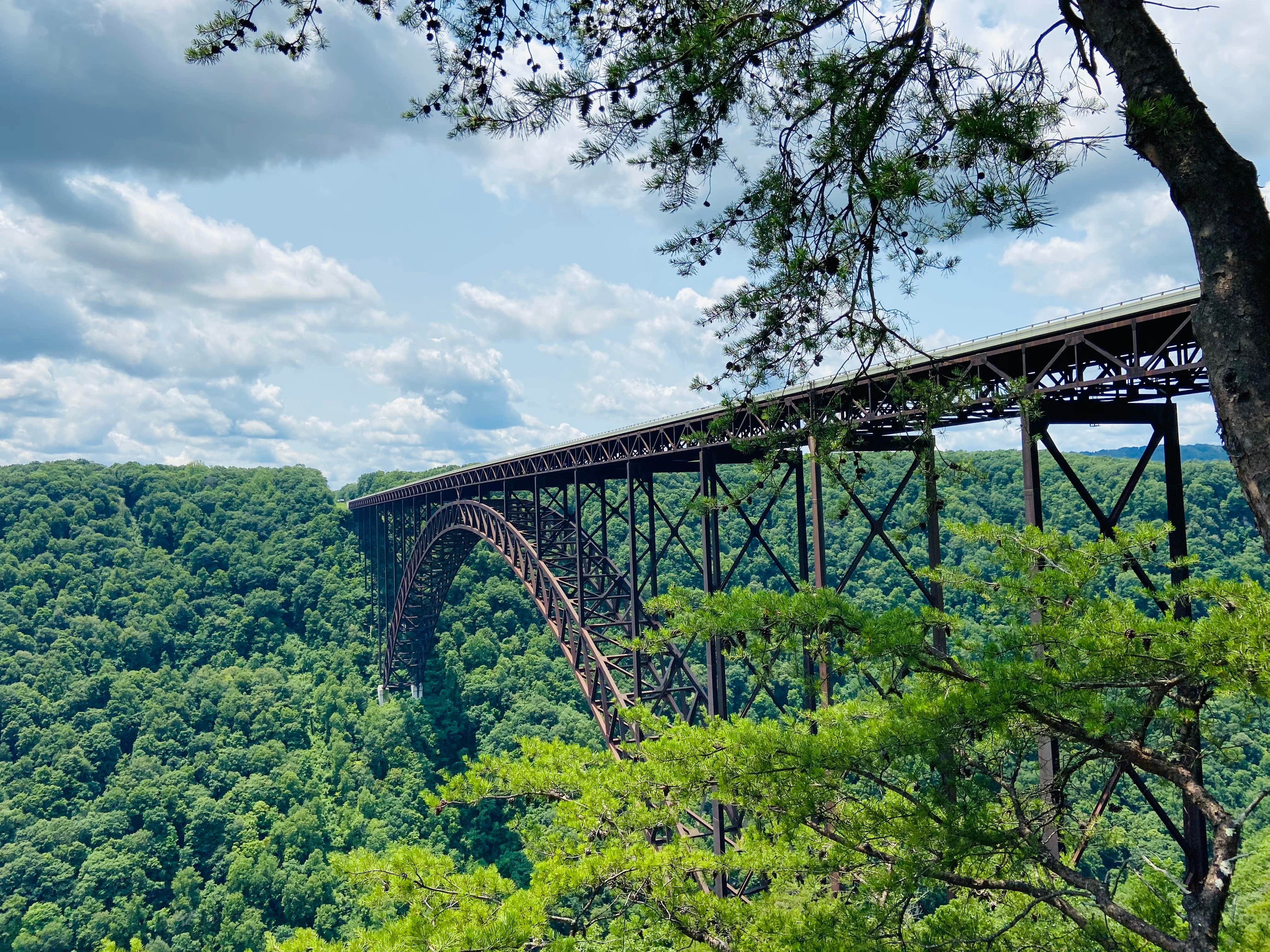 Chestnut Creek Campground | The Dyrt