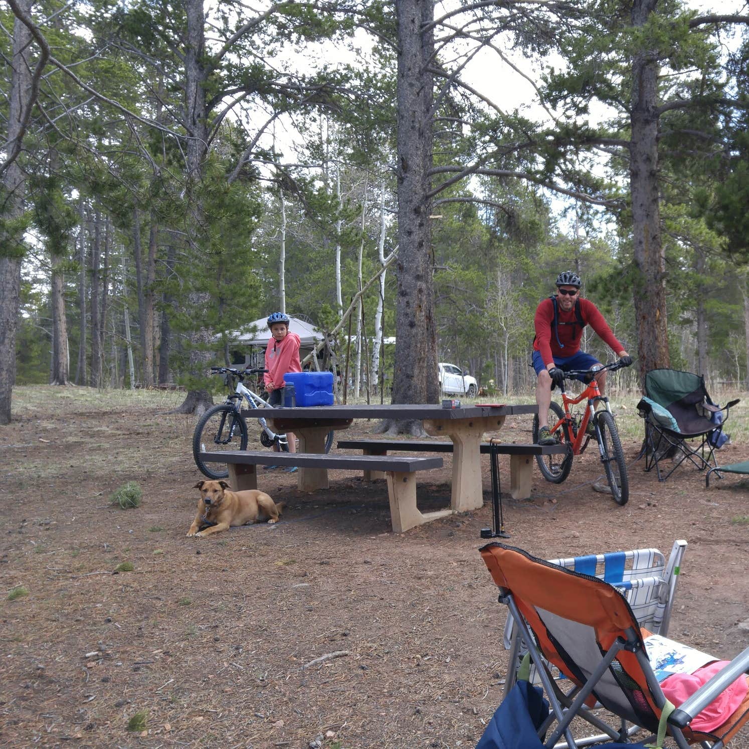 Timberline Campground Camping | The Dyrt