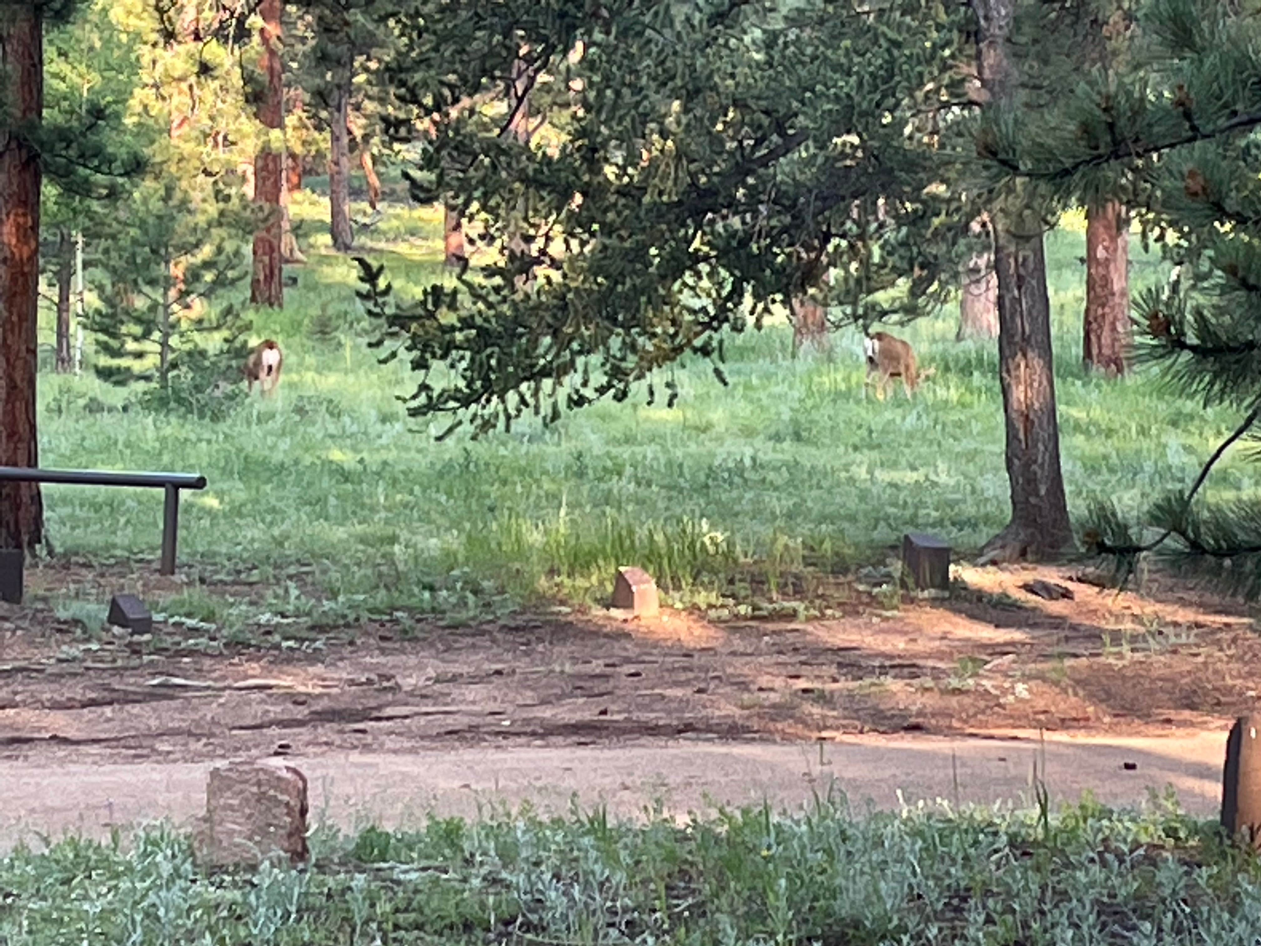 Meridian Campground | The Dyrt